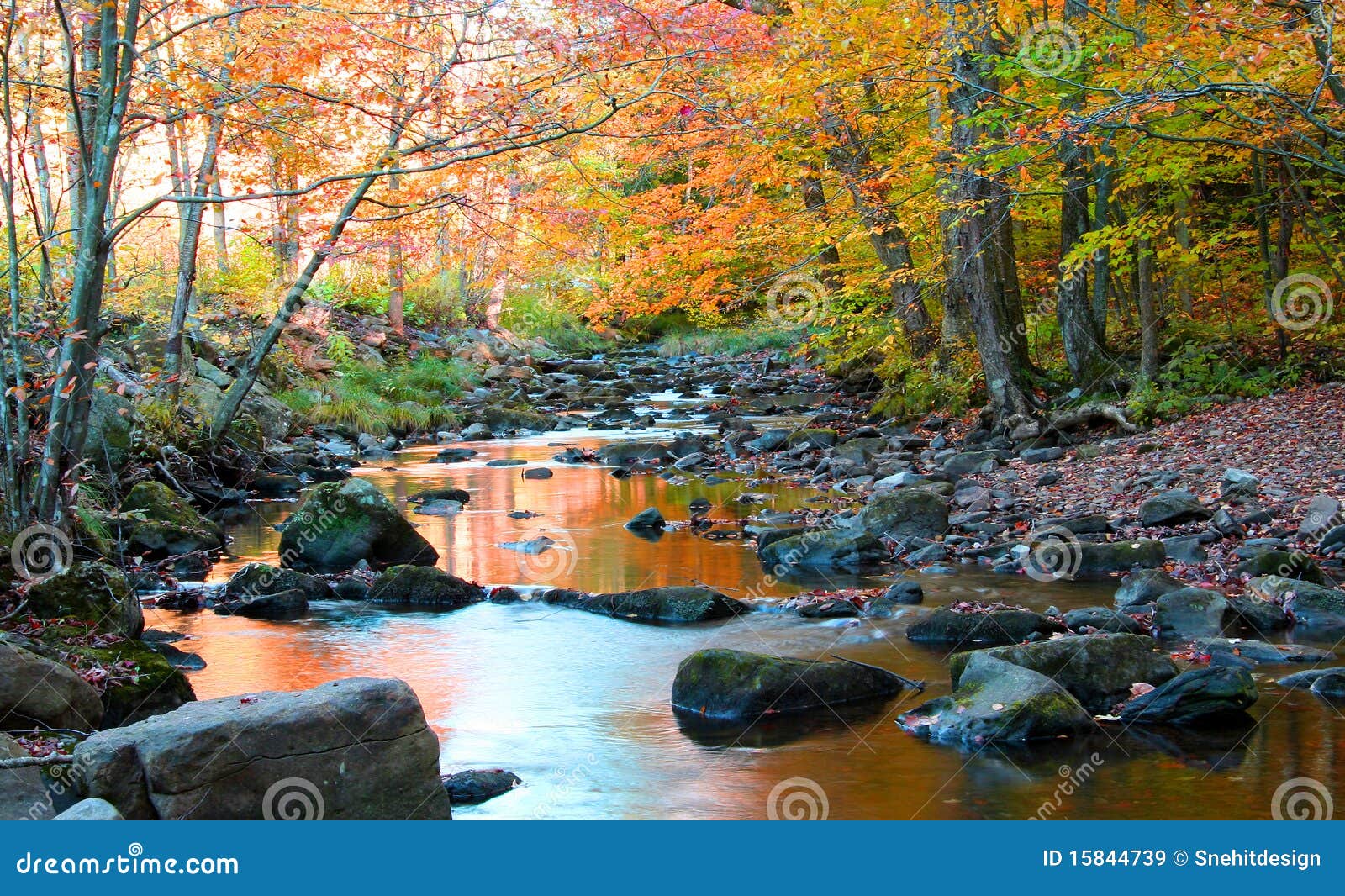Autumn landscape stock image. Image of stream, scene - 15844739