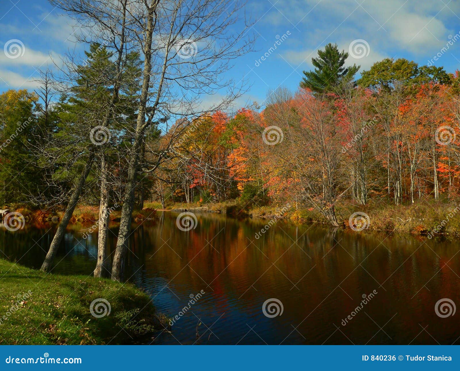 Autumn landscape stock photo. Image of sunshine, canada - 840236