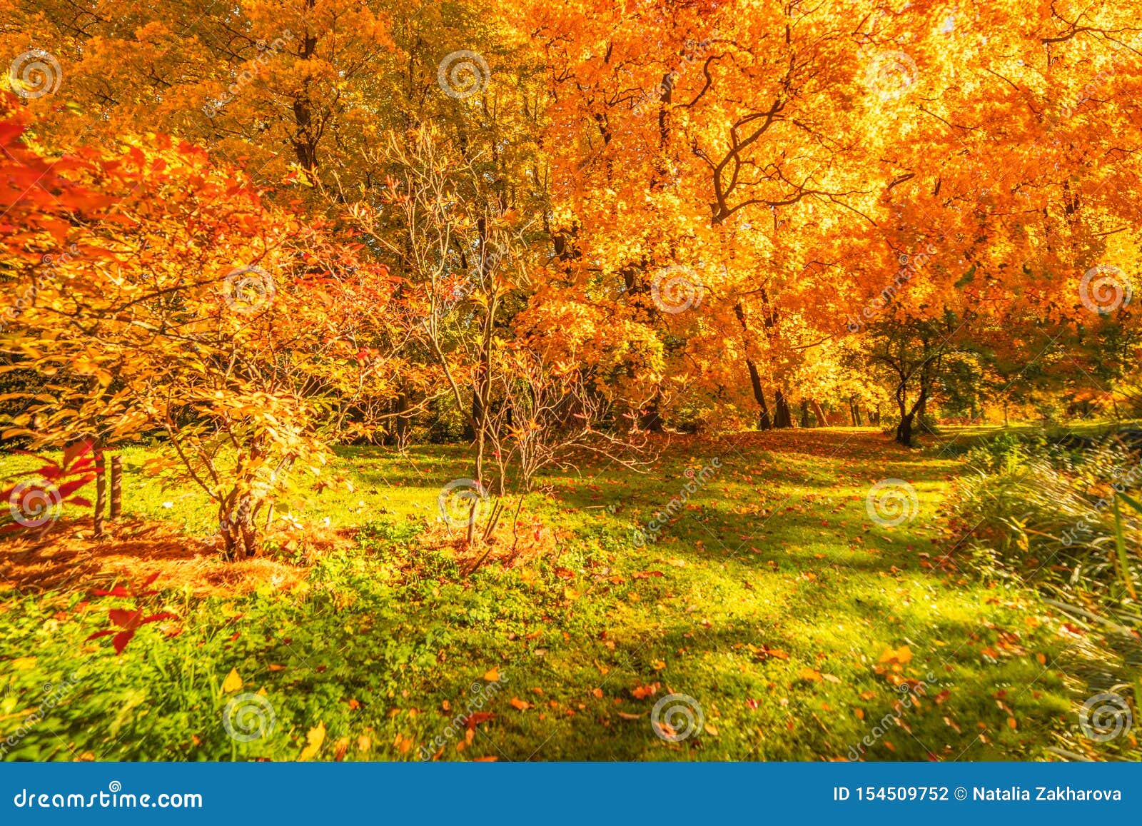 Autumn Landscape Background. Fall Scene Panorama Stock Photo - Image of ...