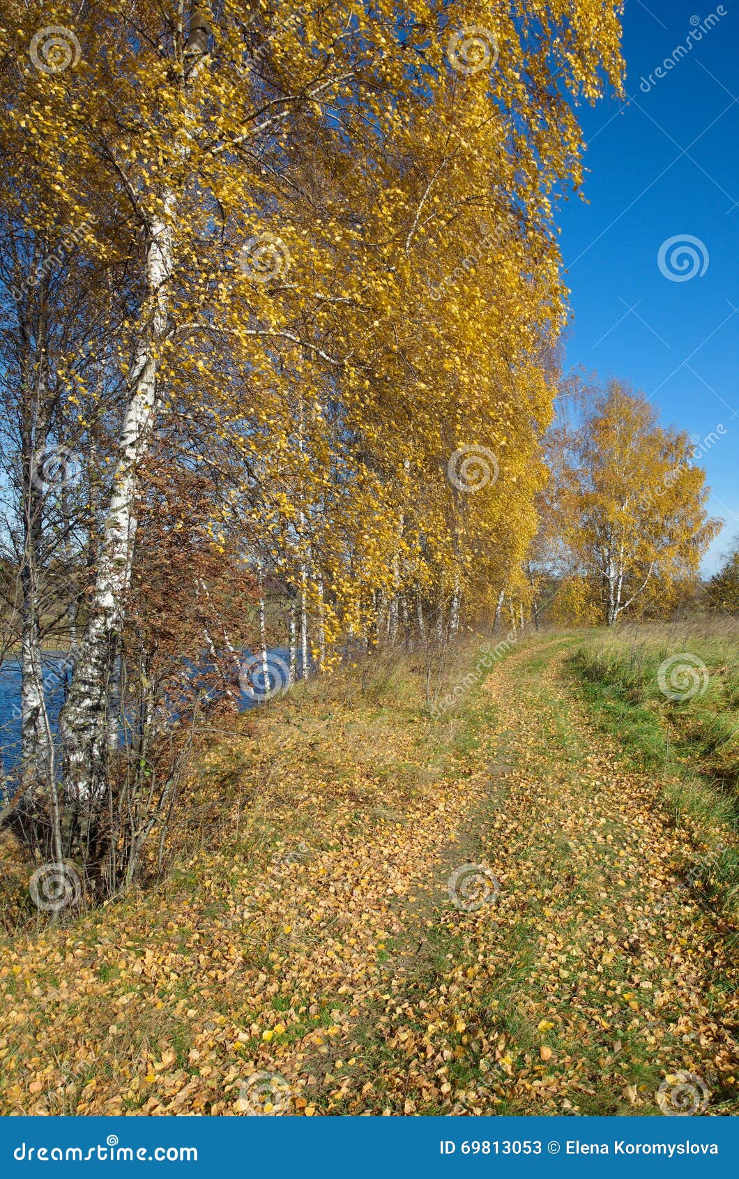 Autumn Landscape with Birches by the River Stock Image - Image of blue ...
