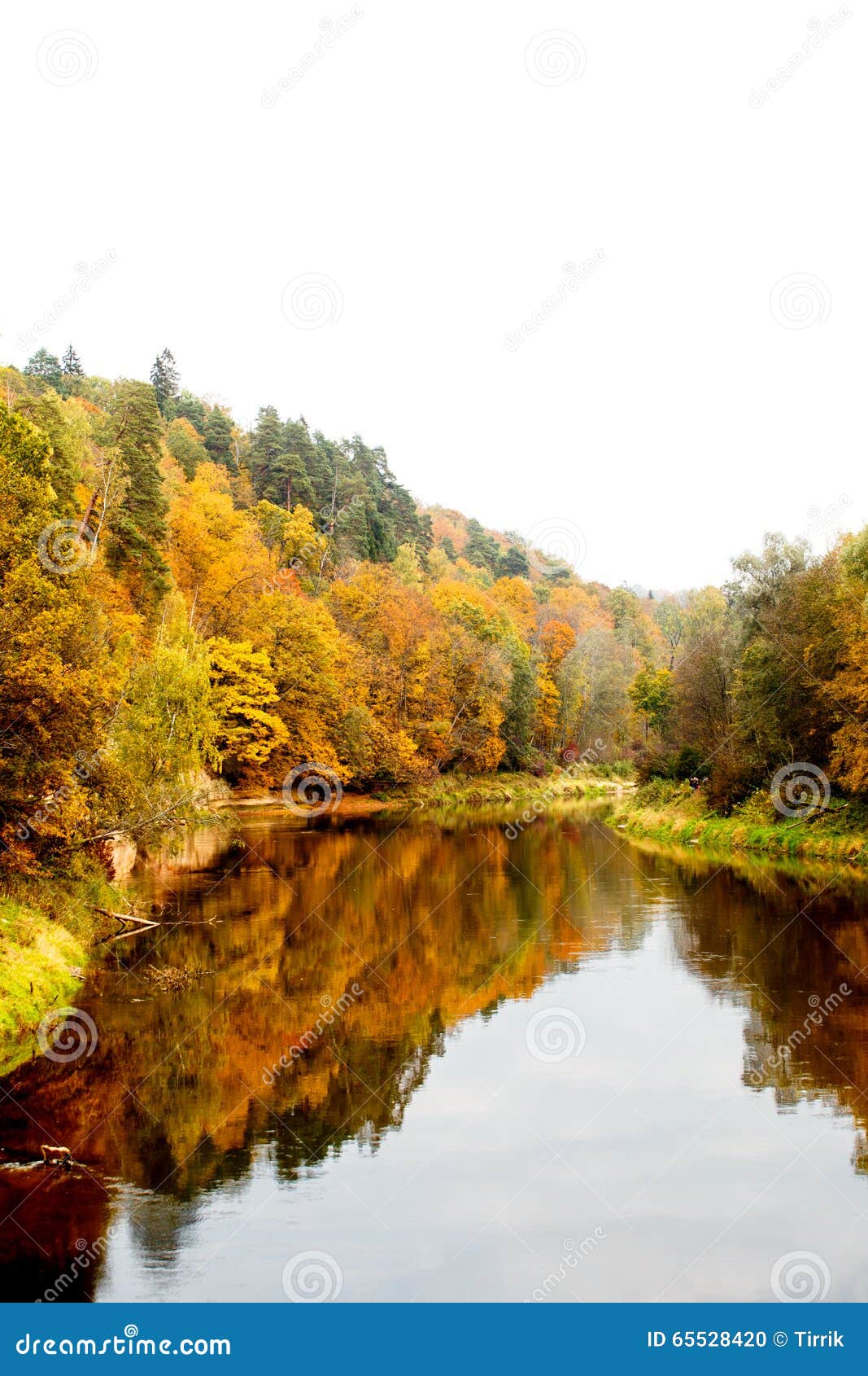 Autumn Landscape the Bright Colors of Autumn by the River Stock Photo ...