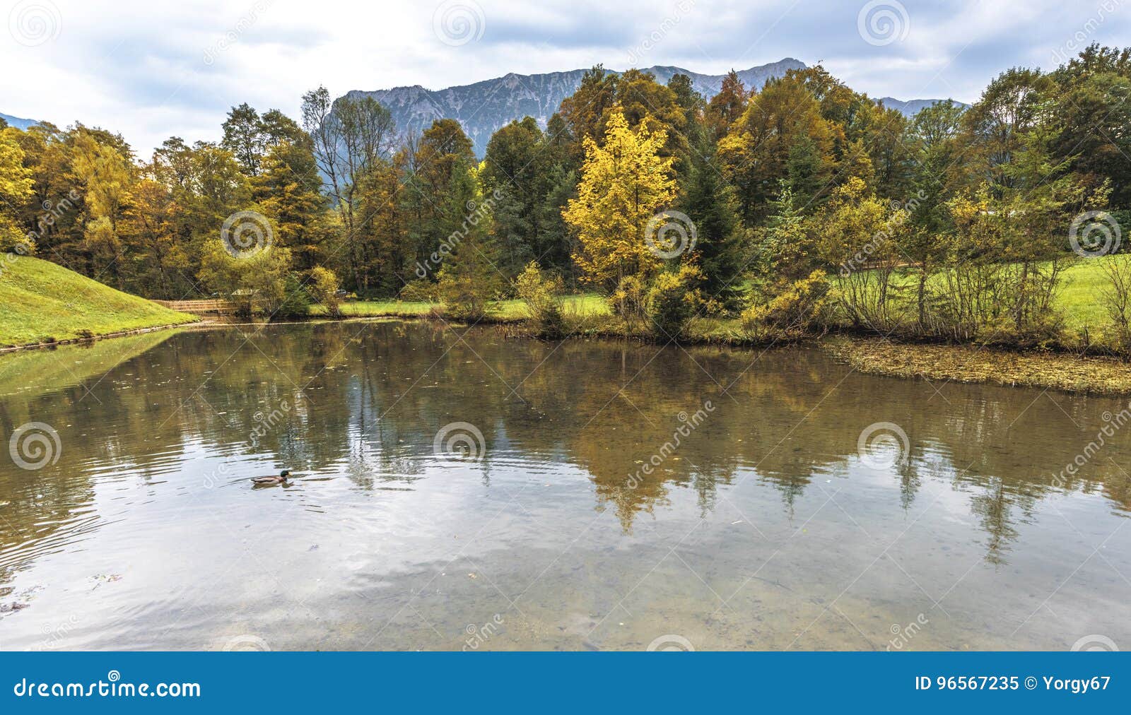 Autumn landscape stock image. Image of bright, lake, colors - 96567235