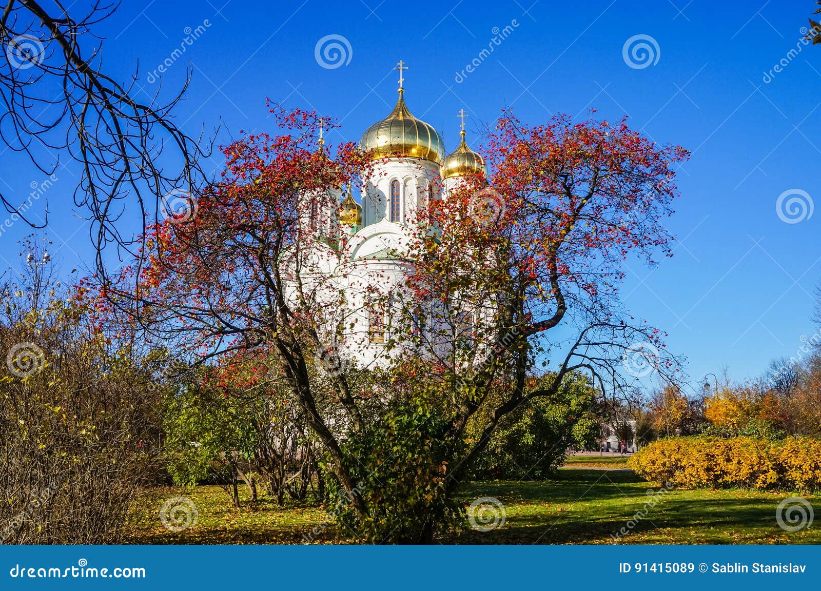 Autumn Landscape. Catherine Cathedral in Pushkin. Autumn 2016 ...