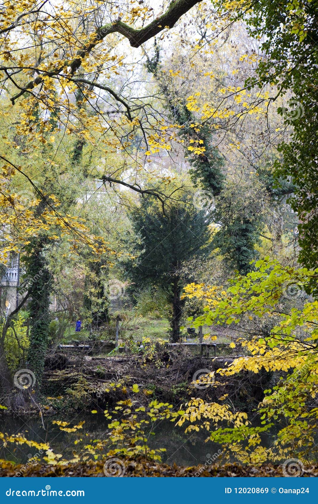 Autumn Landscape with Colored Trees Near River Stock Image - Image of ...