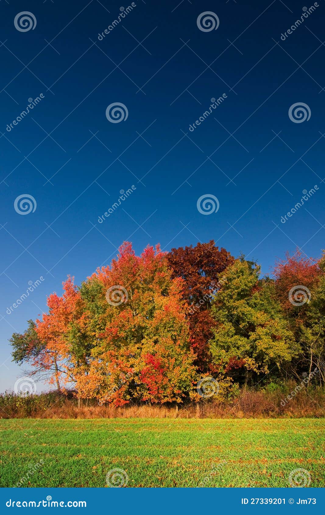 Autumn Landscape with Colorful Trees Stock Image - Image of leaves ...