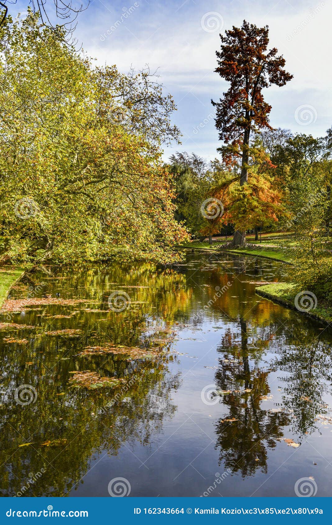 .Autumn Landscape of Colorful Trees Reflected in the Water Stock Photo ...