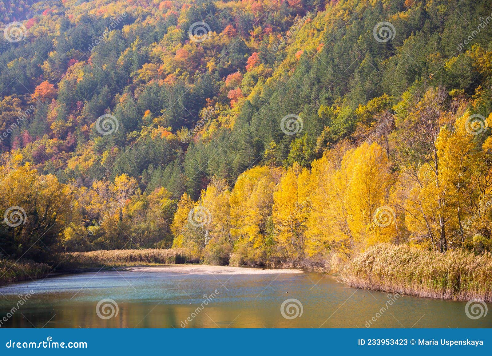 Autumn Landscape with Colorful Trees by a River Stock Image - Image of ...