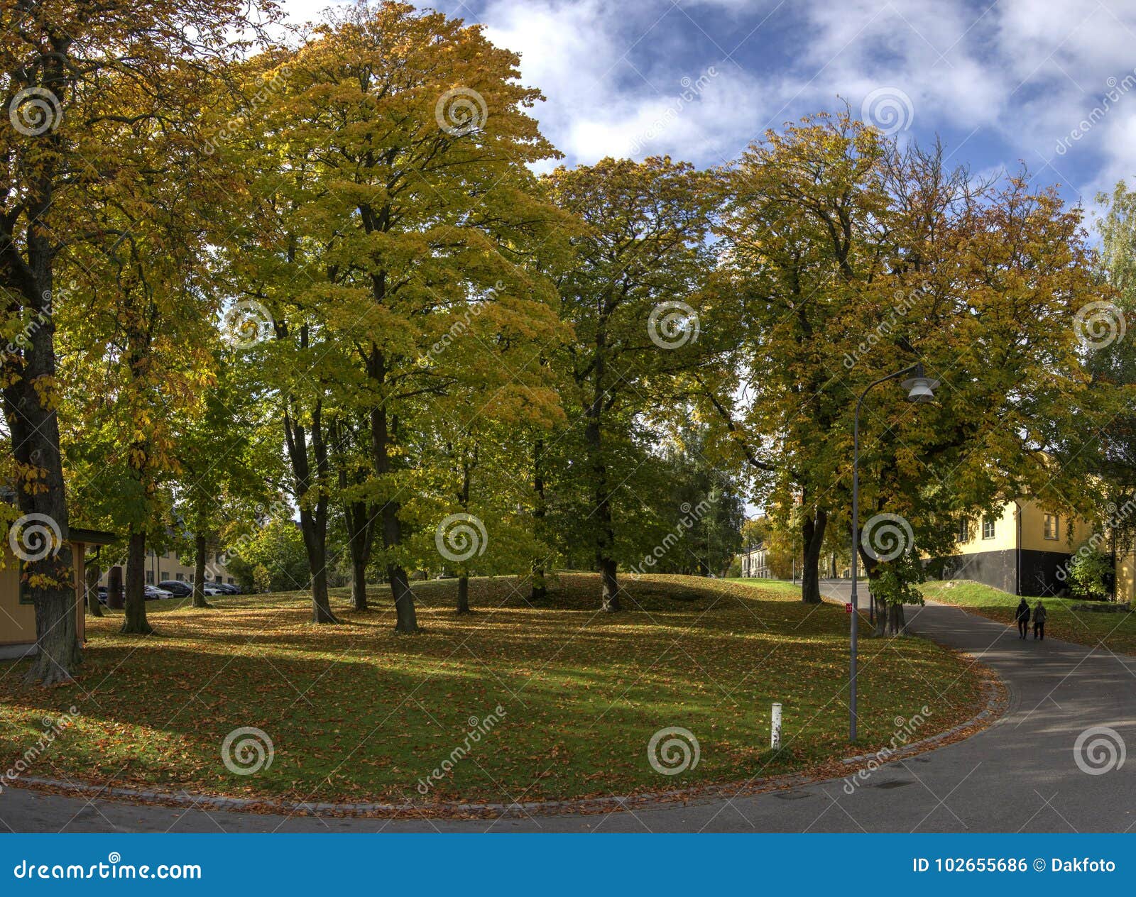 Autumn Landscape with Deciduous Trees in the Park Stock Photo - Image ...