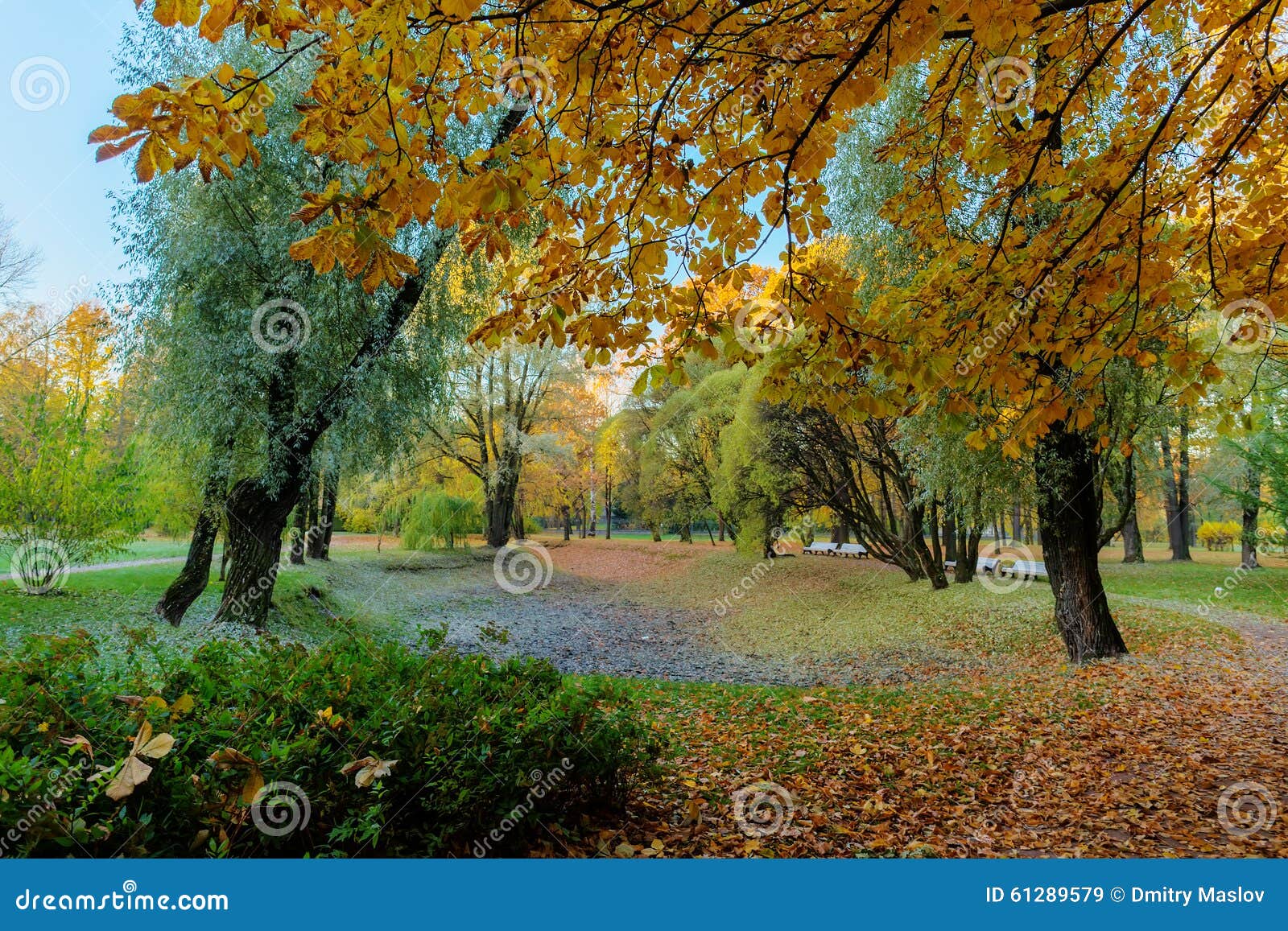 Autumn Landscape with Deciduous Trees Stock Image - Image of yellow ...
