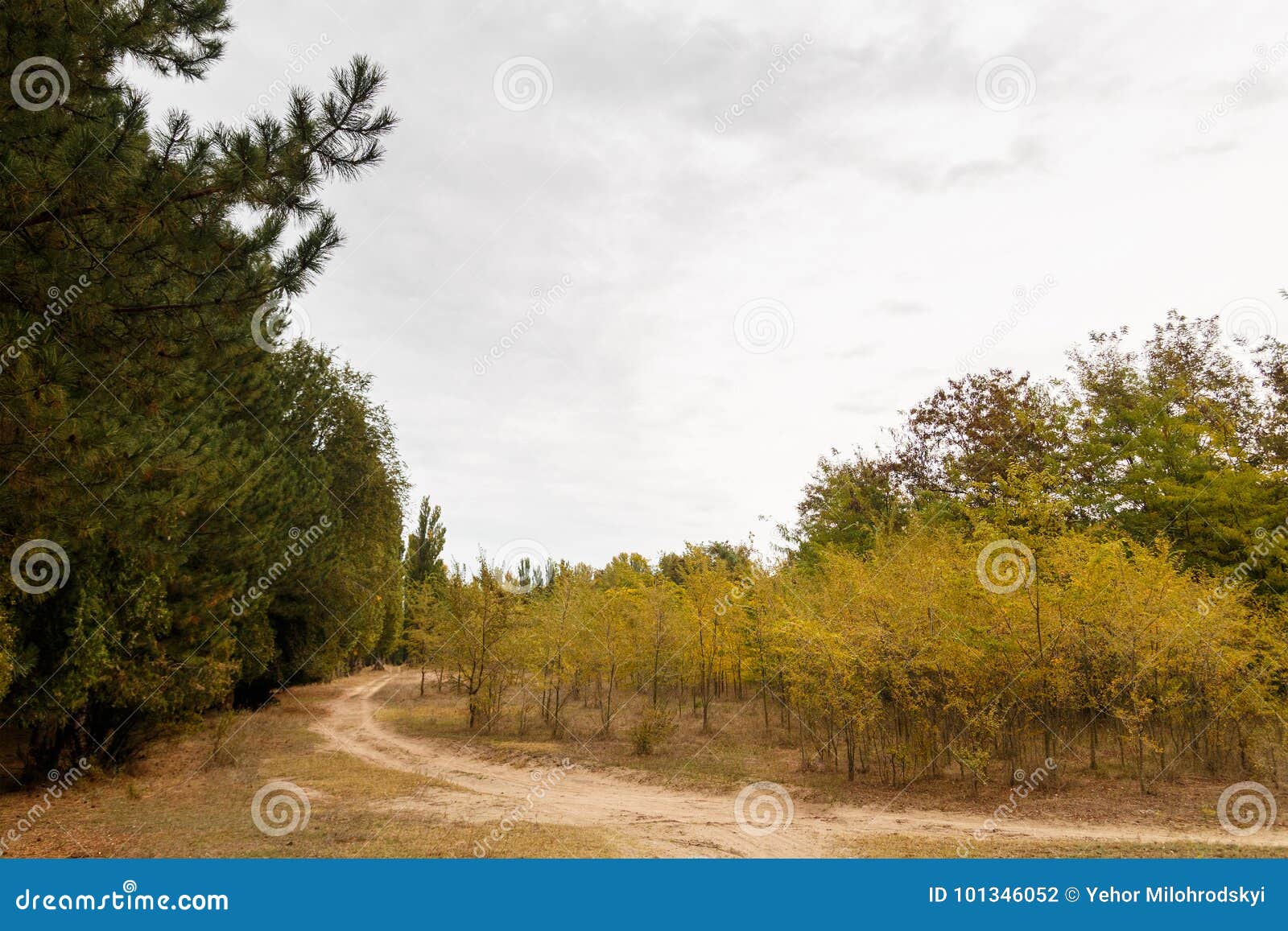 Autumn Landscape with Dirt Road Stock Photo - Image of wallpaper ...