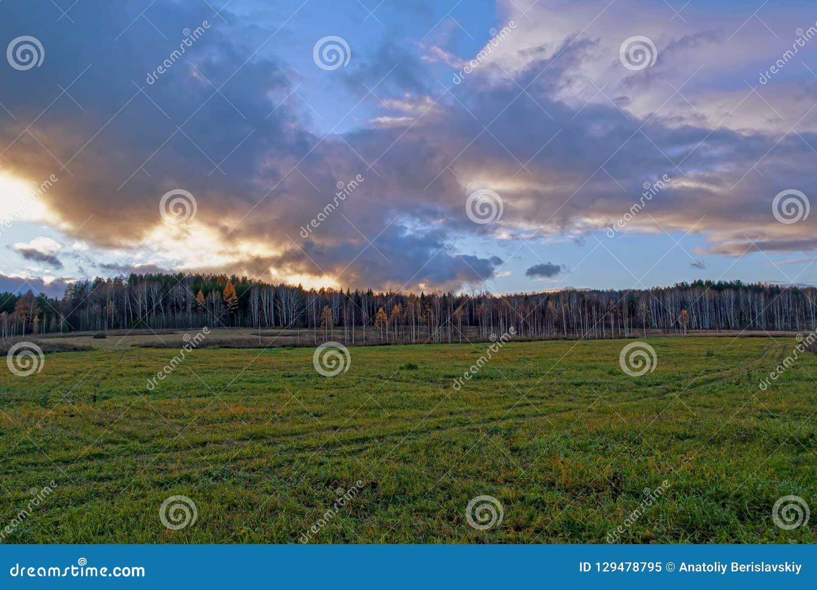 Autumn Landscape with Dried Grass in the Meadow on the Background of ...