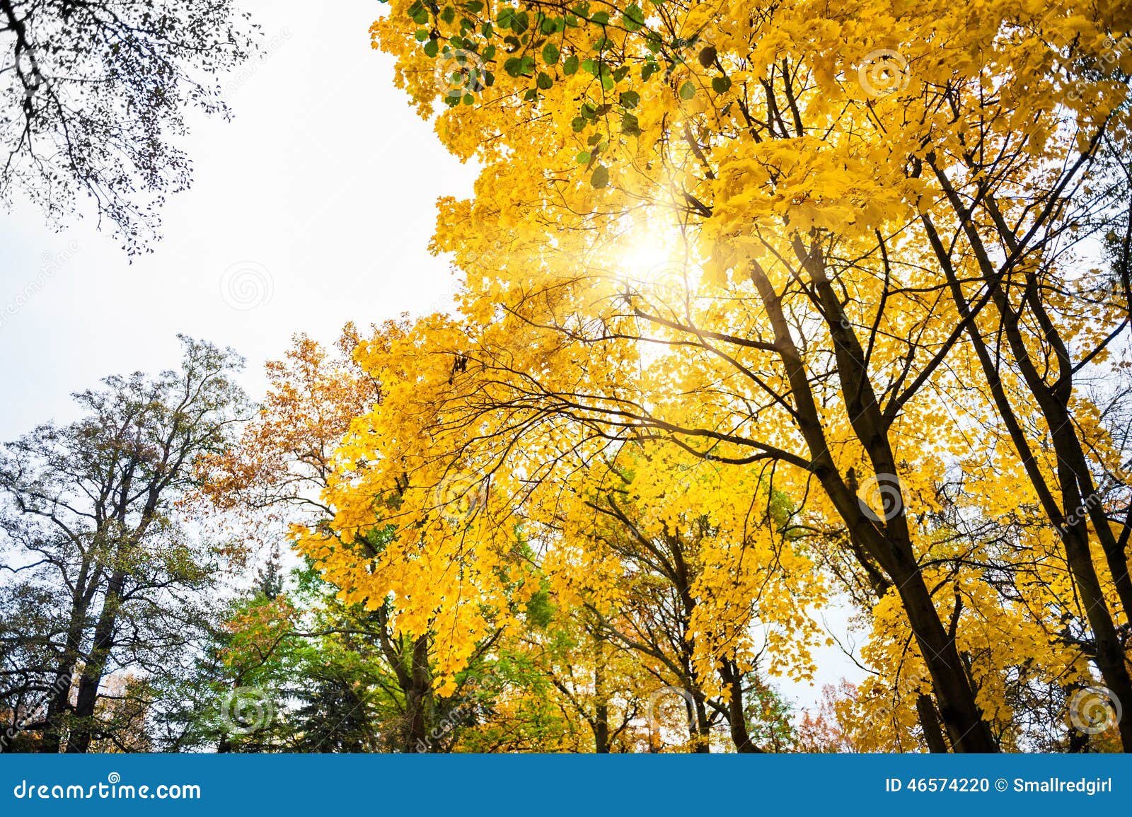 Autumn Landscape. Fall Scene Stock Photo - Image of romantic, autumn ...