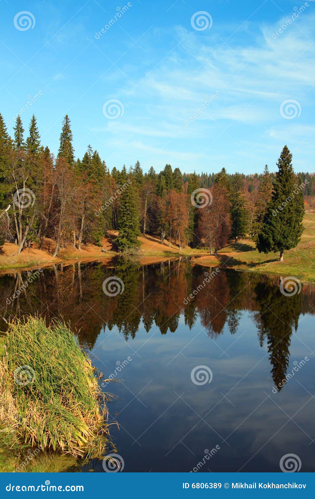 Autumn Landscape with Forest Lake Stock Image - Image of scene, serene ...