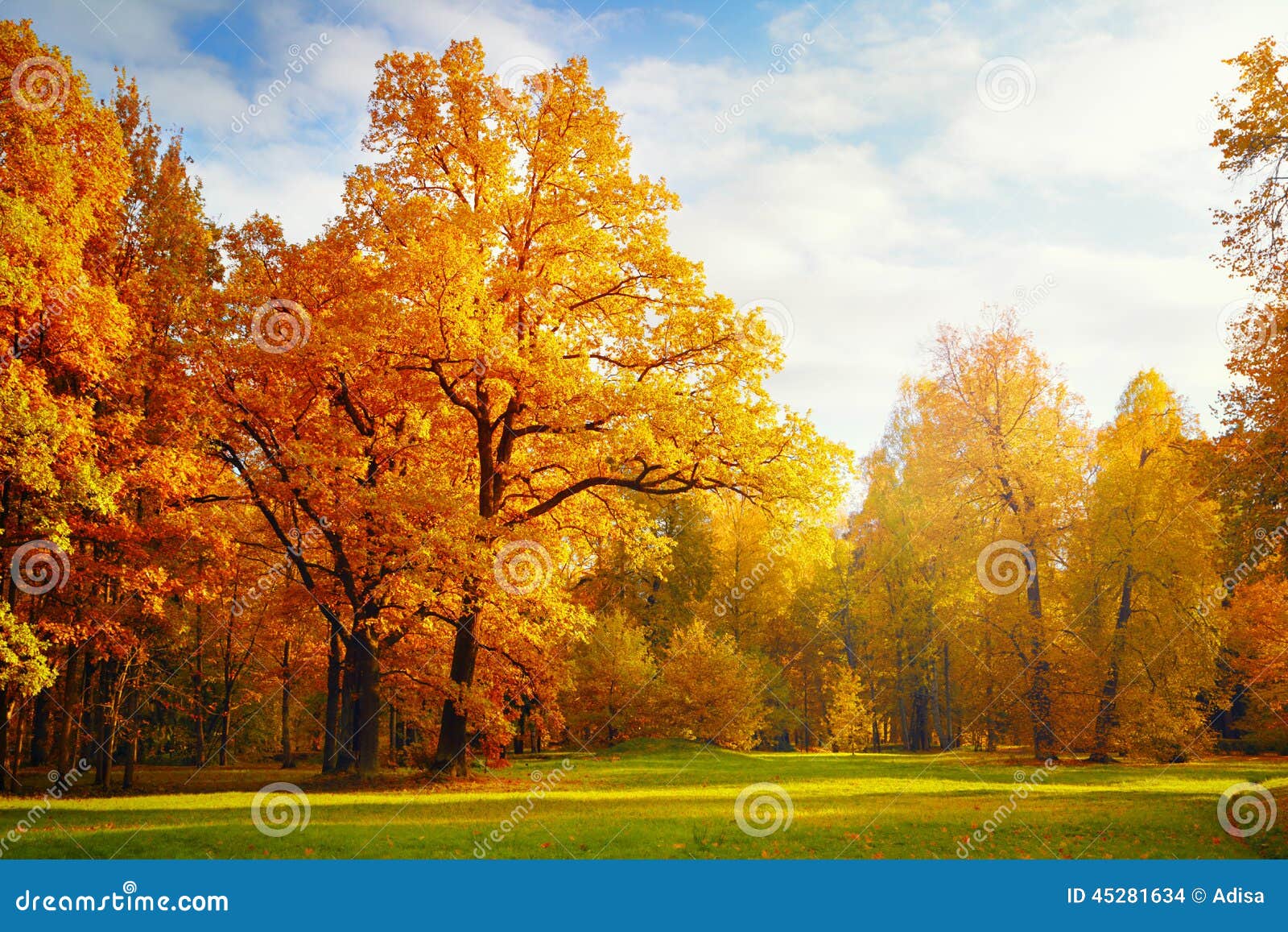 Autumn landscape stock photo. Image of foliage, grass - 45281634
