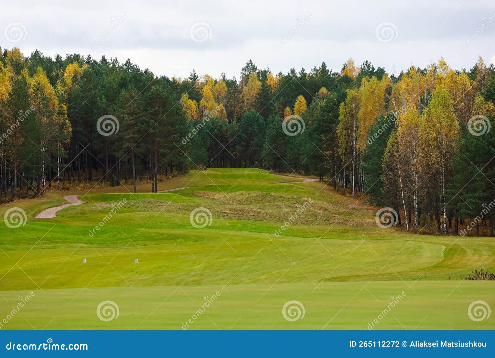 Autumn Landscape on a Golf Course, Yellow Leaves on Trees Stock Photo ...