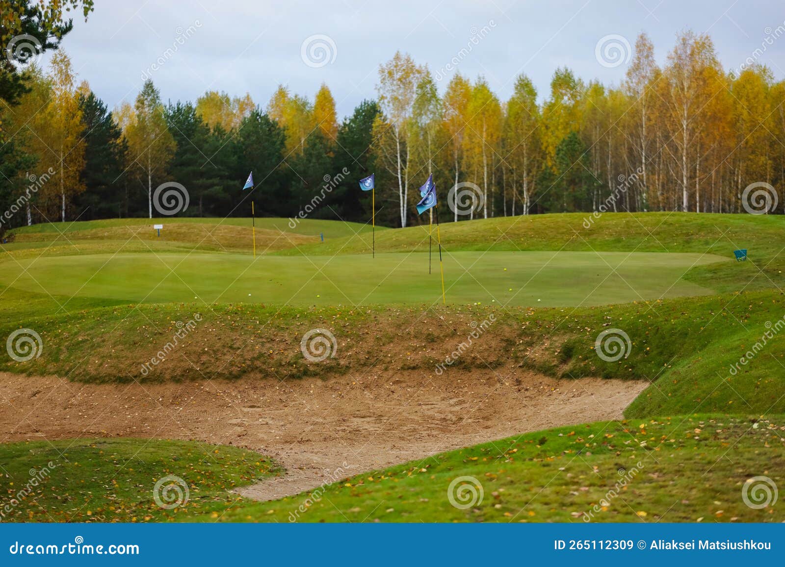 Autumn Landscape on a Golf Course, Yellow Leaves on Trees Stock Image ...