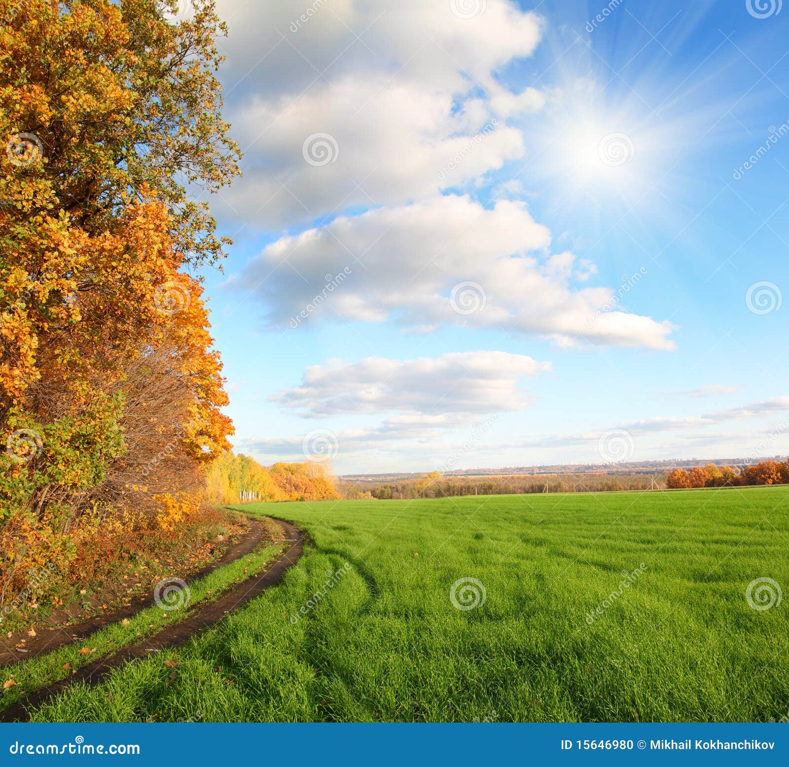 Autumn Landscape with Green Field Stock Photo - Image of lawn, maple ...