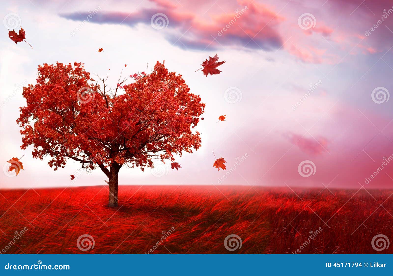 Autumn landscape stock photo. Image of land, fall, ground - 45171794