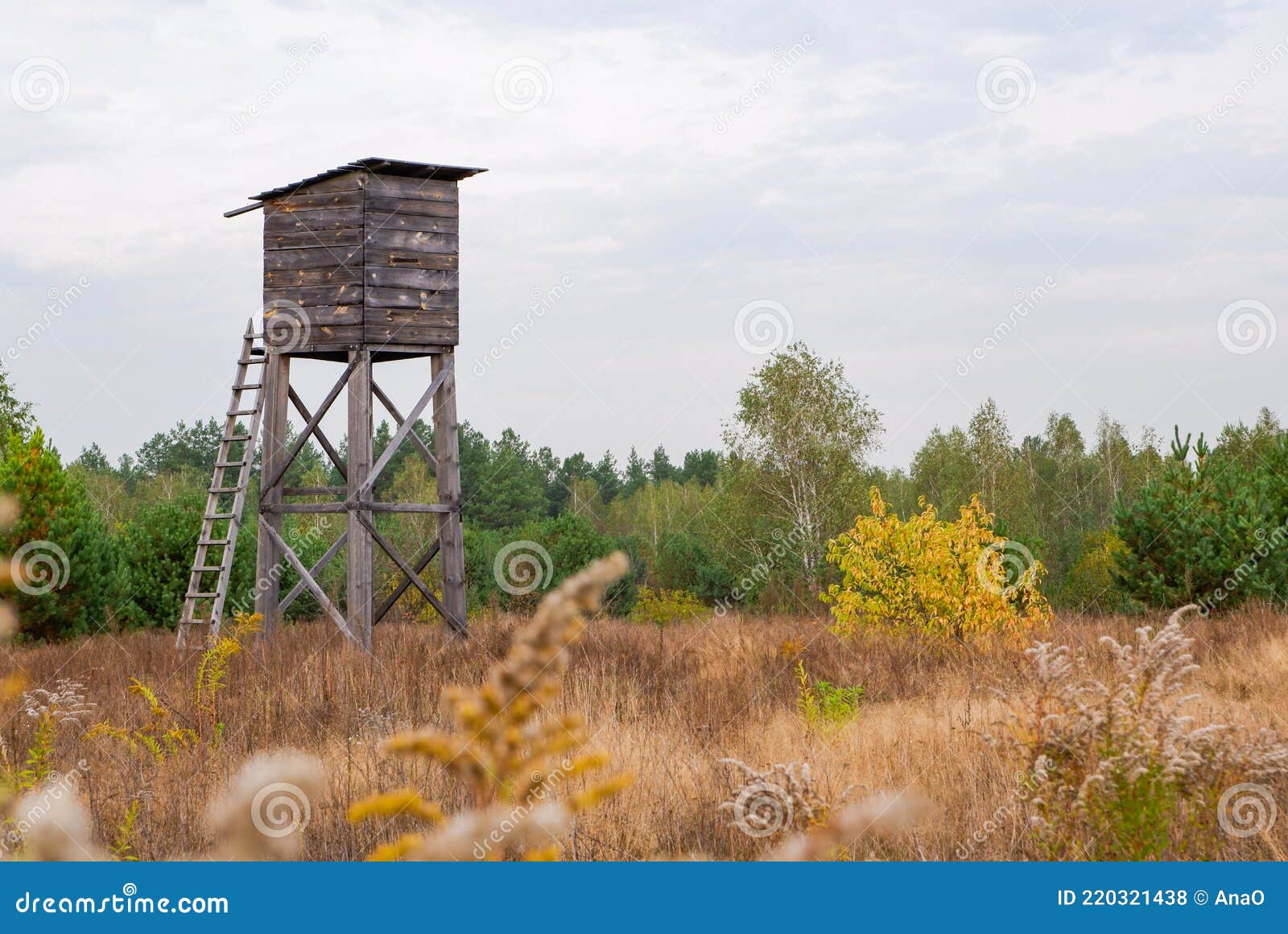Autumn Landscape with a Hunting Tower. Wooden Observation Tower at the ... Autumn Landscape with a Hunting Tower. Wooden Observation Tower at the ...