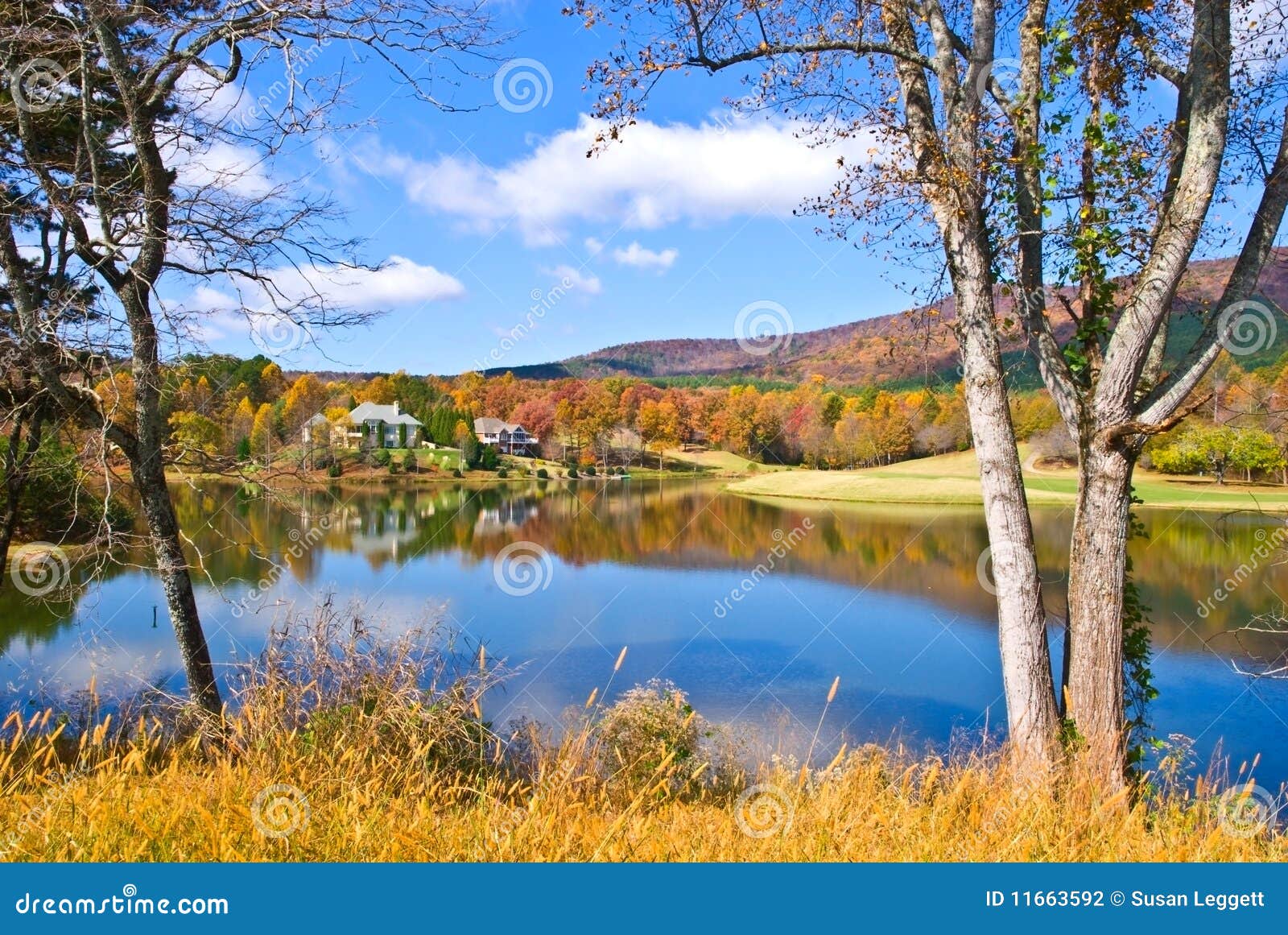 Autumn Landscape with Lake stock photo. Image of country - 11663592