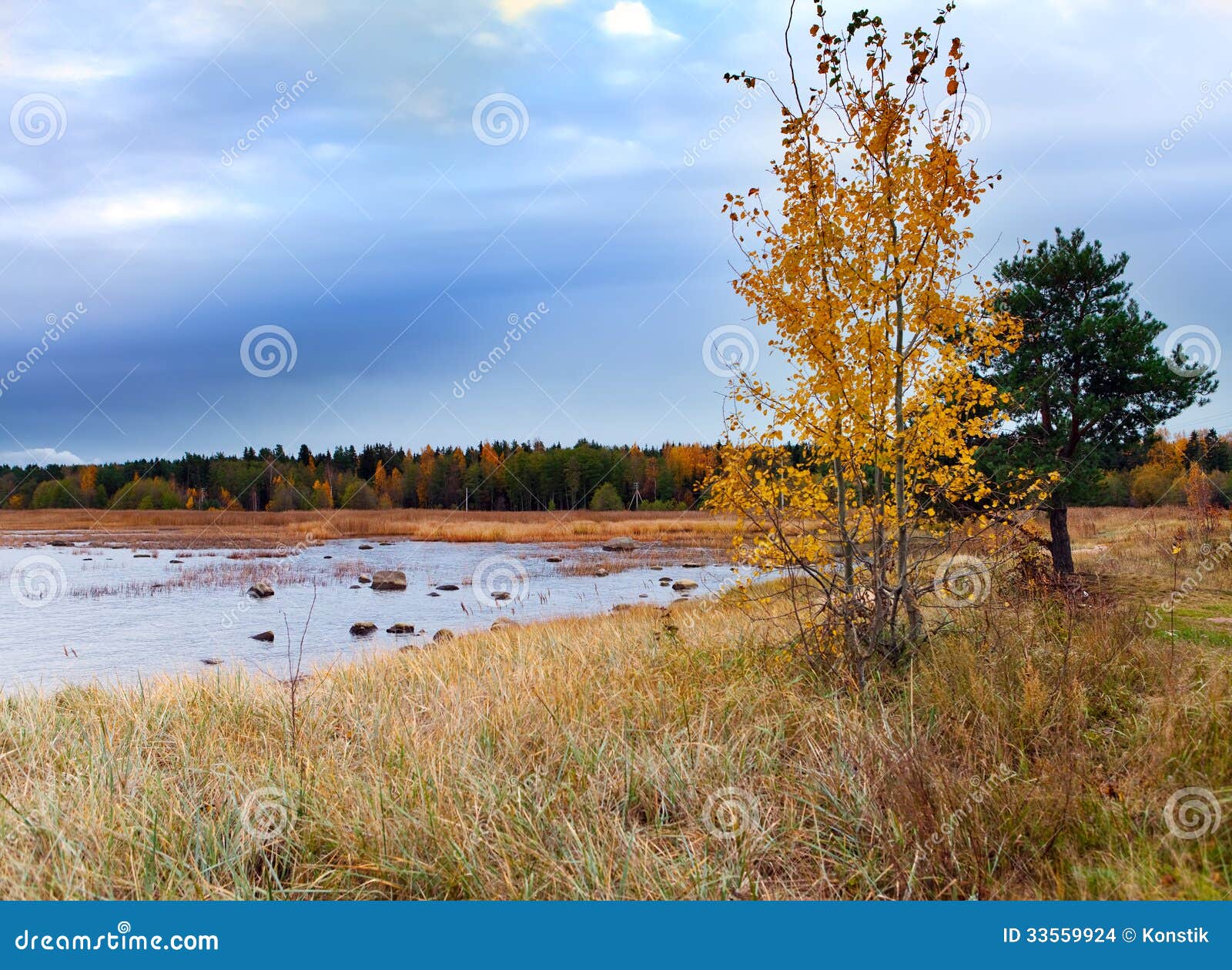 Autumn landscape with lake stock photo. Image of plant - 33559924