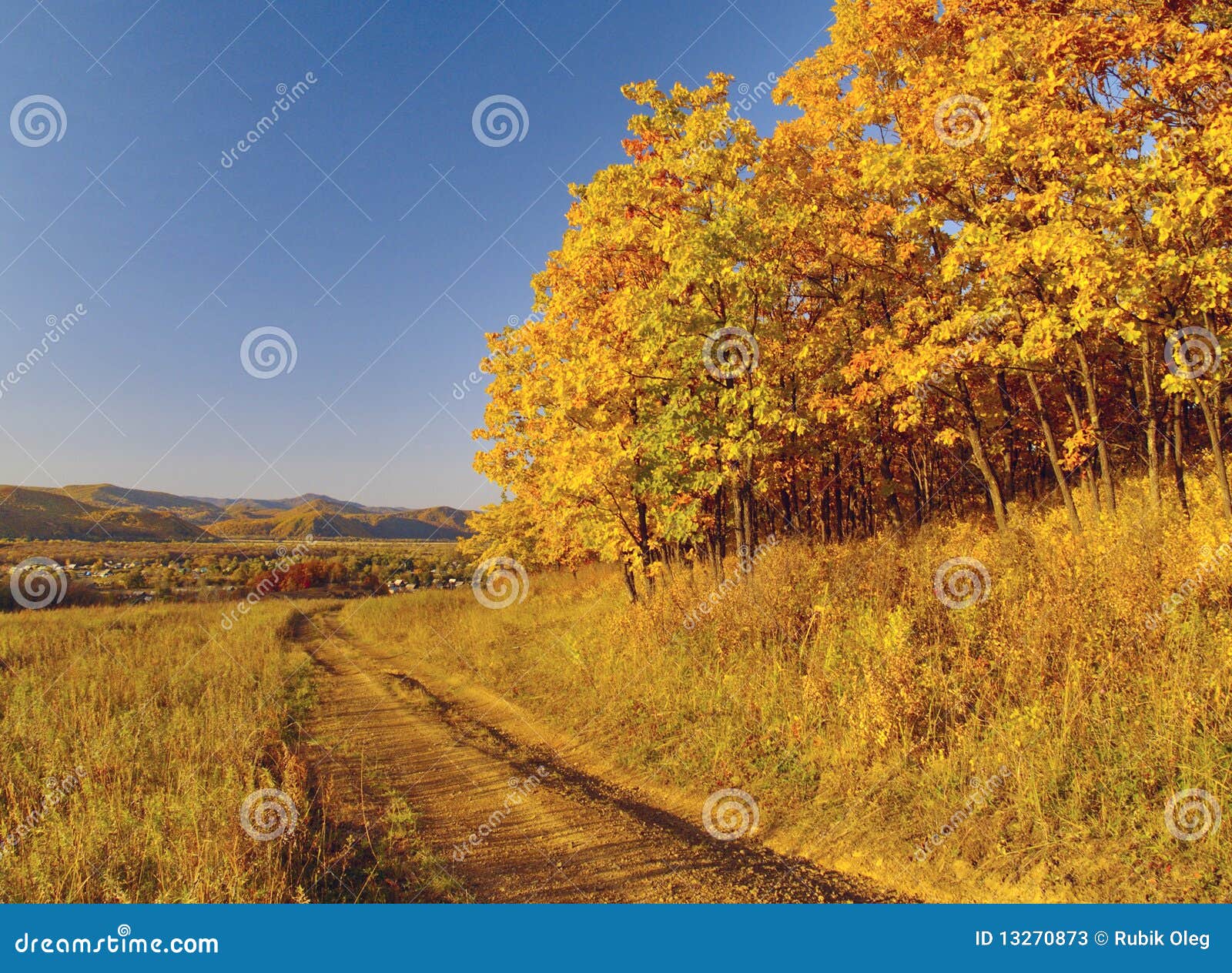 Autumn Landscape with an Oak Grove Stock Image - Image of wood, branch ...