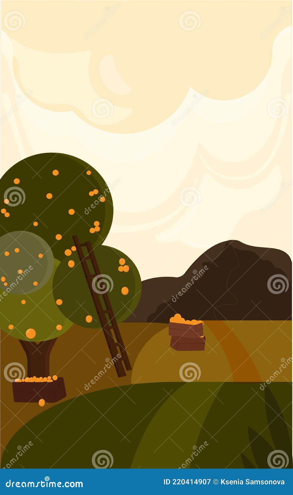 Autumn Landscape Orange Grove Harvesting Stock Vector - Illustration of ...