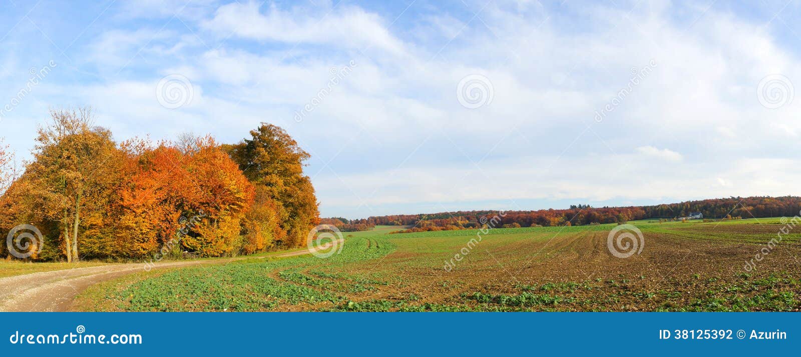 Autumn landscape panorama stock photo. Image of field - 38125392
