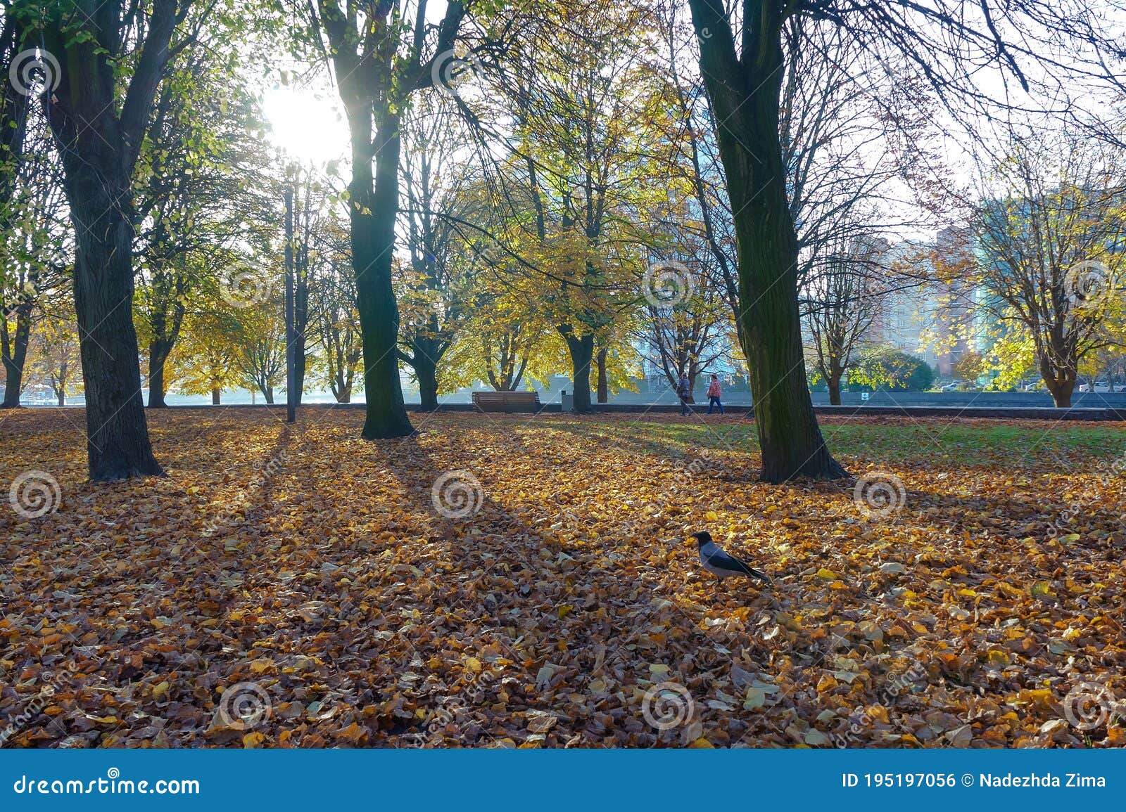 Autumn Landscape in the Park, Walk in the Park in Autumn Stock Photo ...
