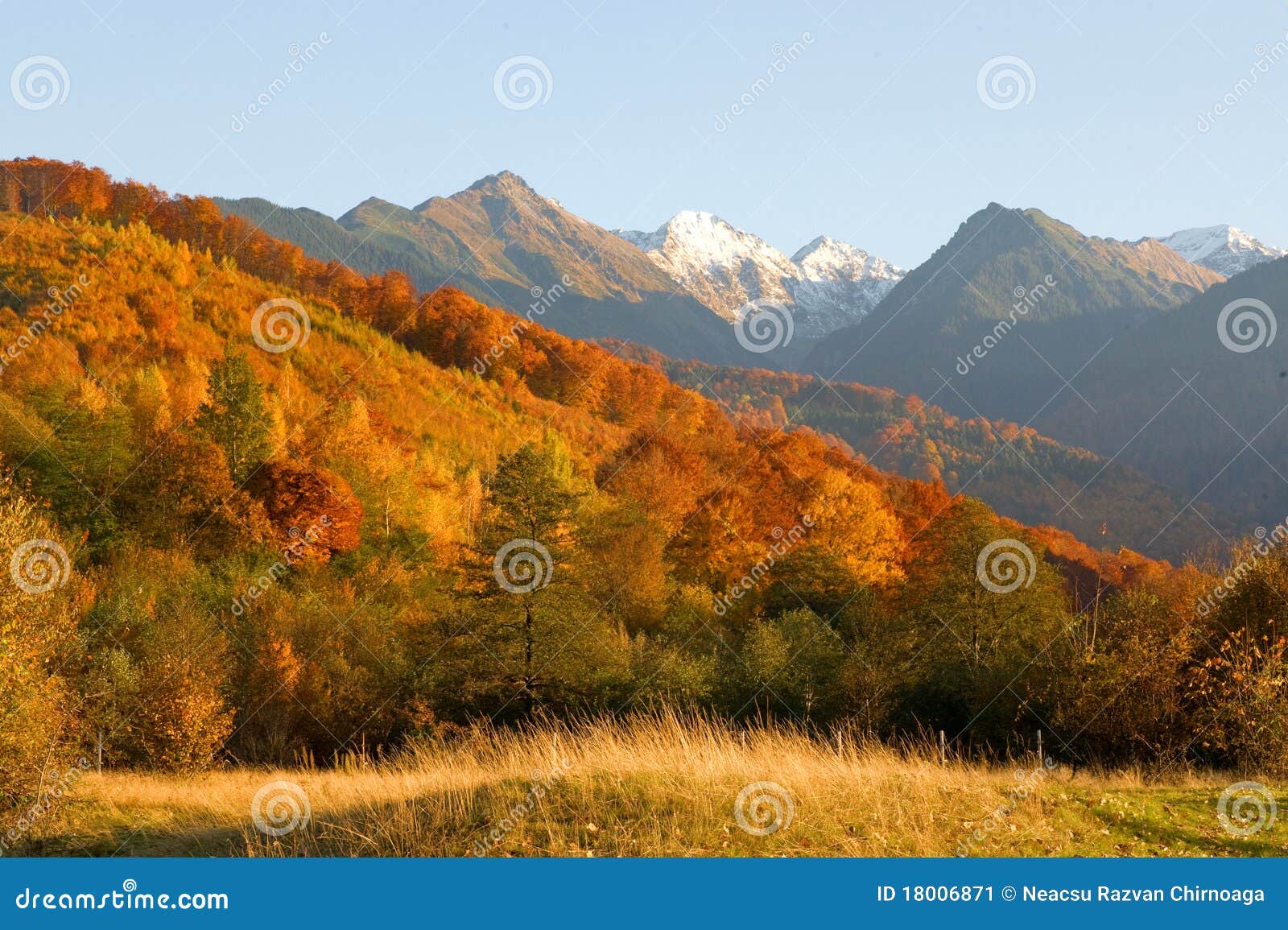 Autumn landscape photo stock image. Image of scenics - 18006871