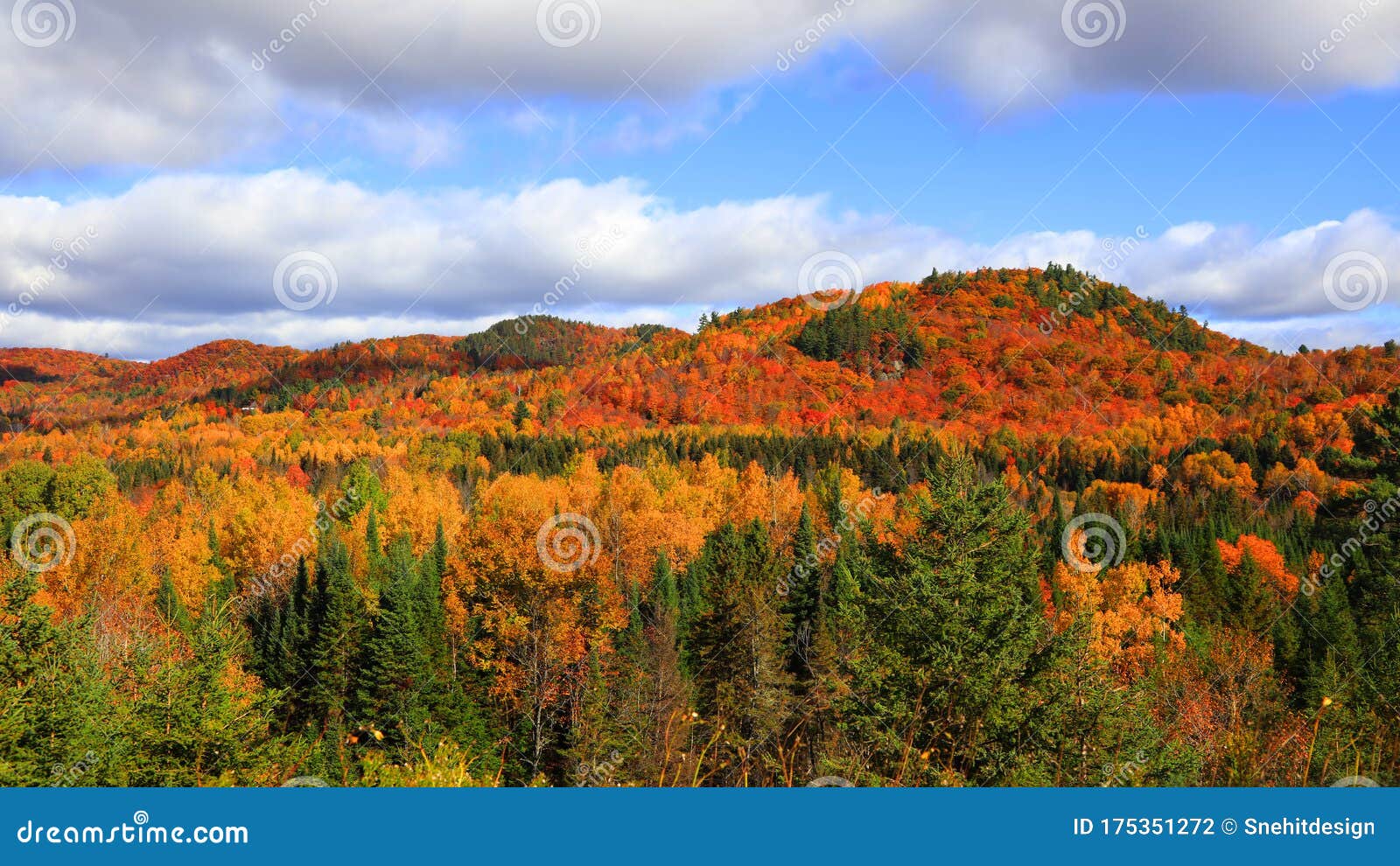 5,989 Autumn Landscape Quebec Photos - Free & Royalty-Free Stock Photos ...