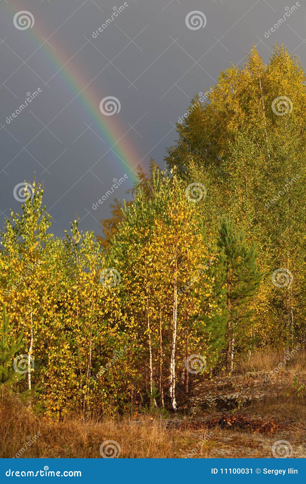 Autumn landscape. Rainbow stock image. Image of leaf - 11100031