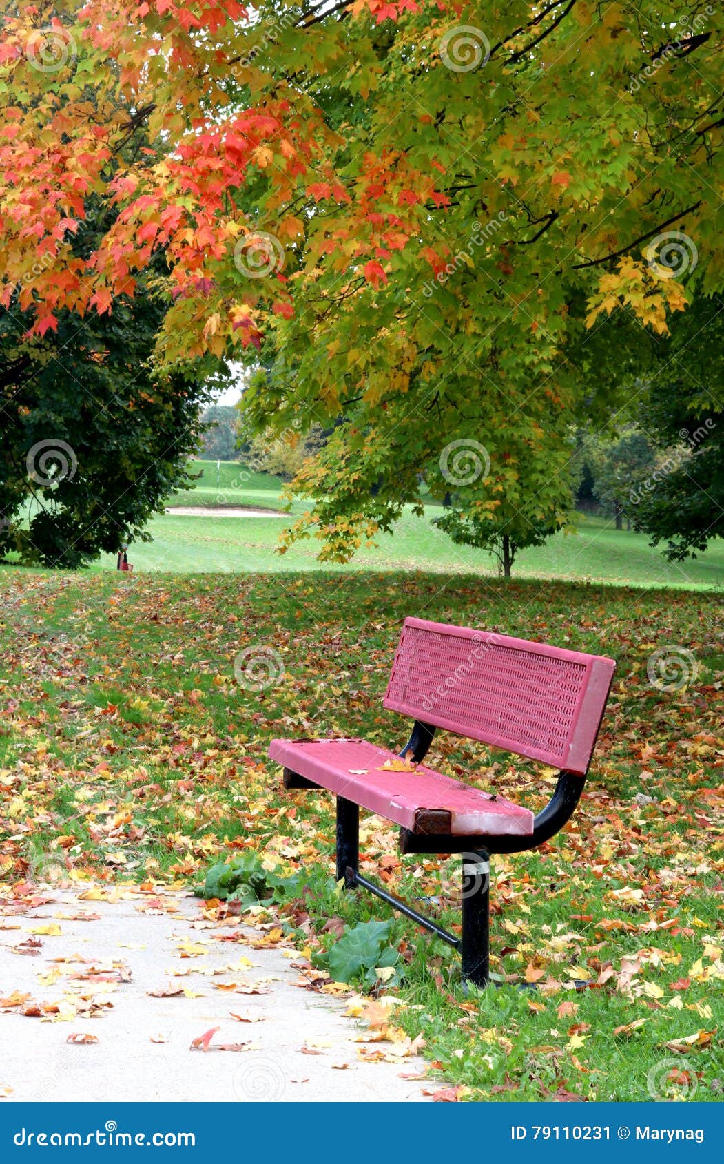 Autumn Landscape with a Red Bench Stock Image - Image of fallen, park ...
