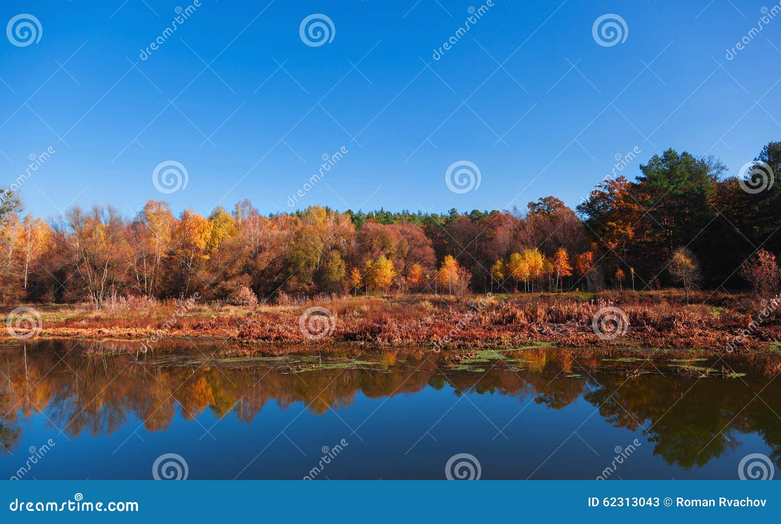 Autumn Landscape with Reflection in the River. Stock Image - Image of ...