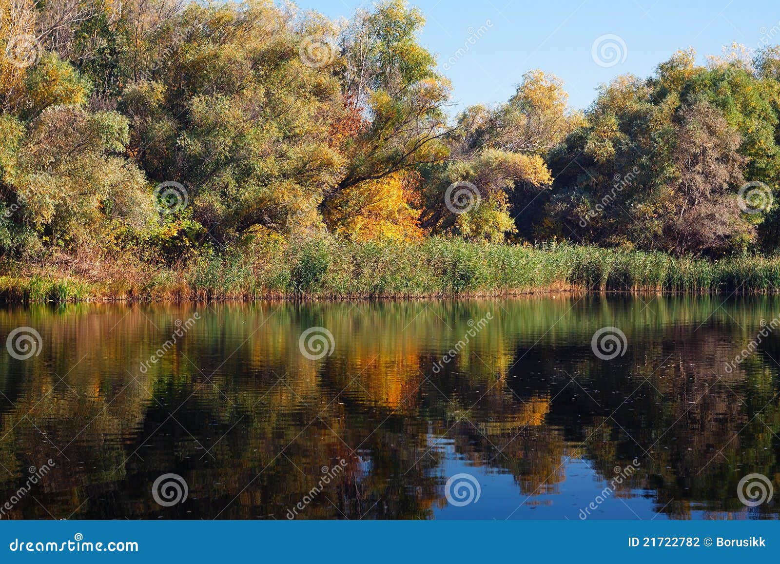 Autumn Landscape with Reflection in the Water Stock Photo - Image of ...