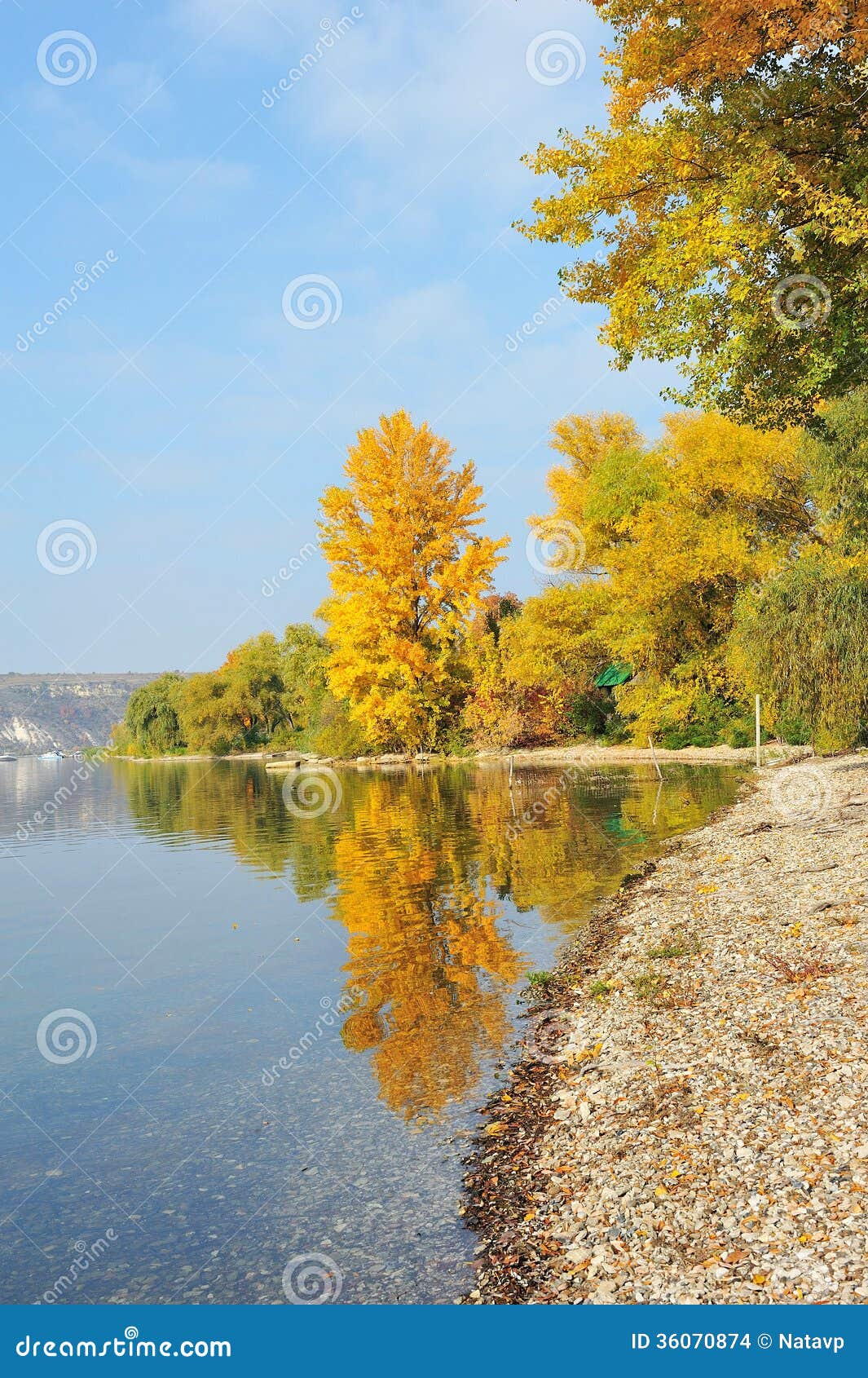 Autumn Landscape on the River Bank. Stock Photo - Image of landscape ...
