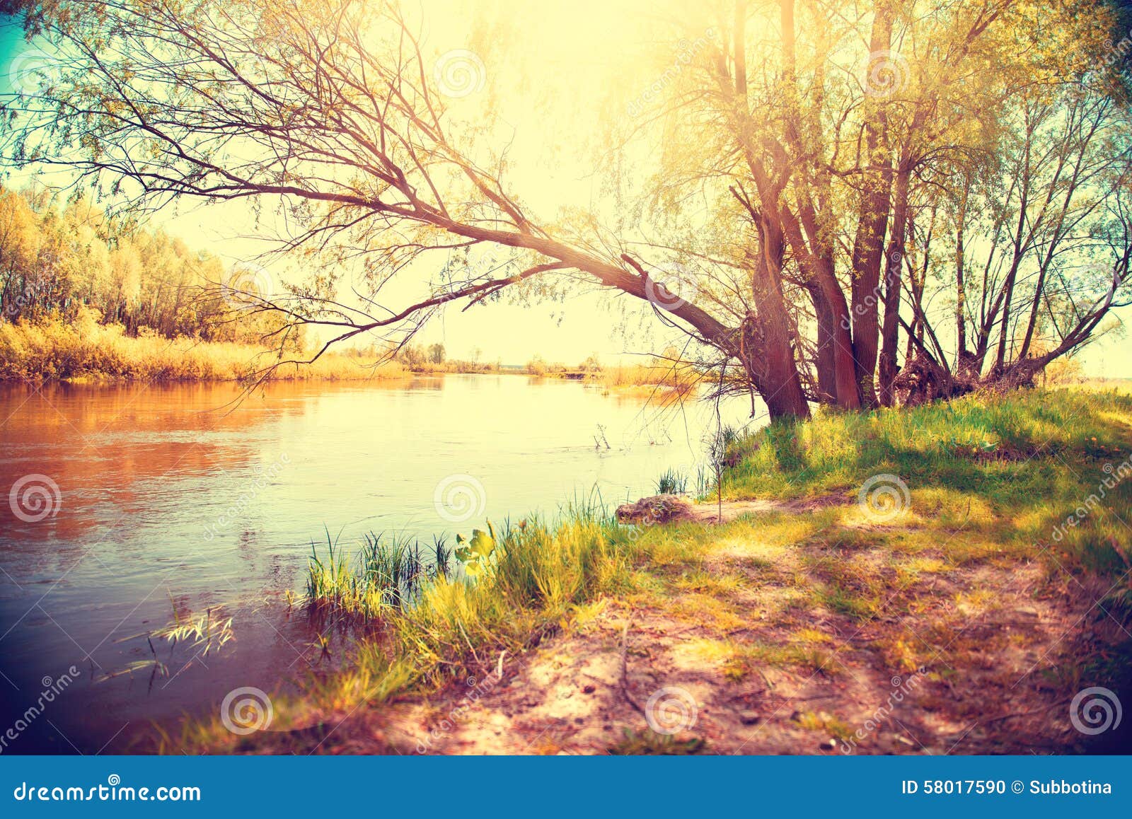 Autumn Landscape with a River Stock Photo - Image of plant, environment ...