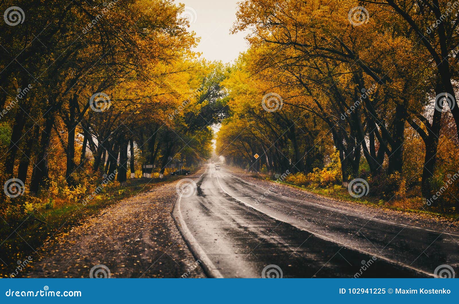 Autumn Landscape with Road and Beautiful Colored Trees. Stock Image ...