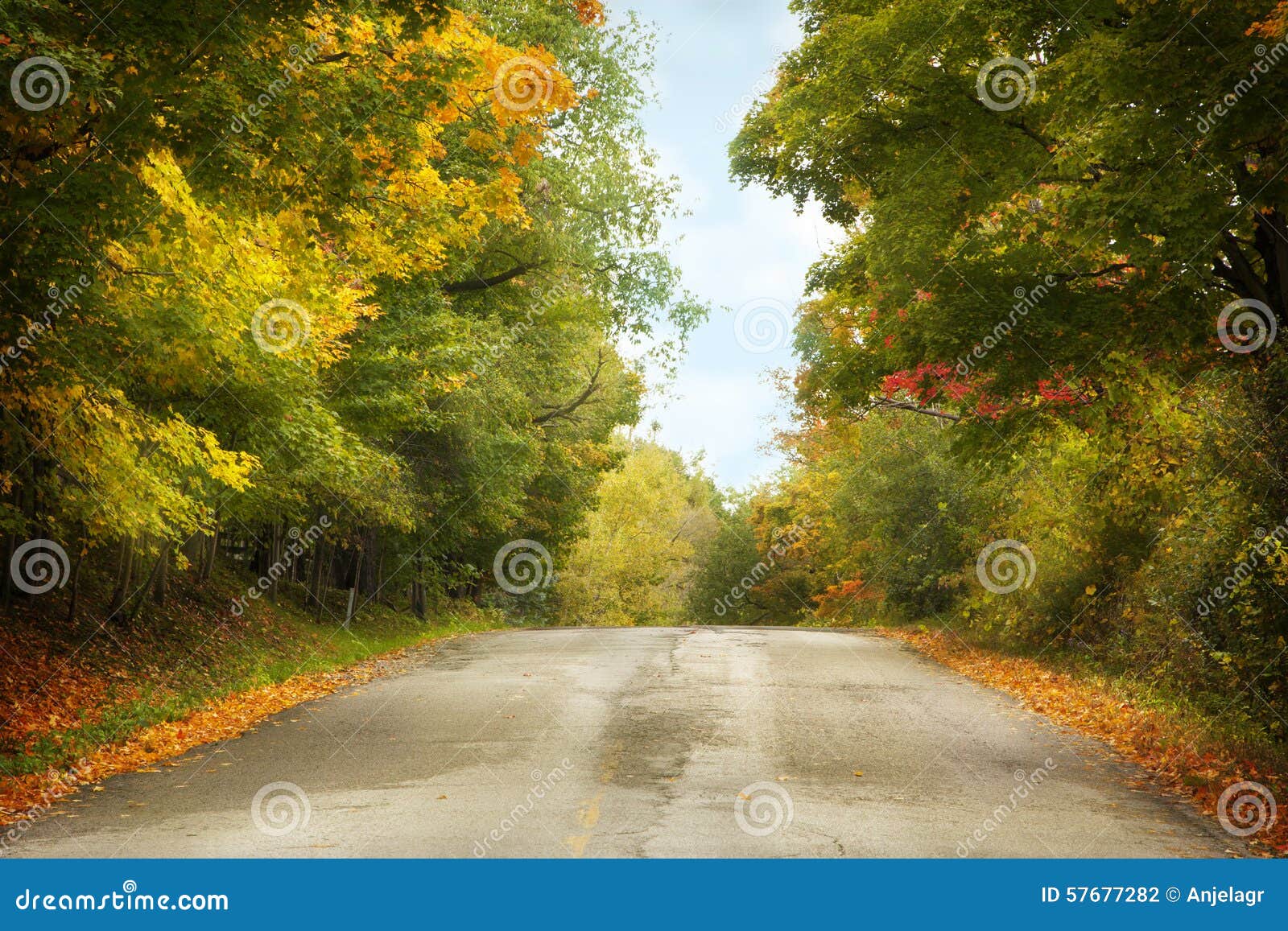 Autumn Landscape with Road and Beautiful Colored Trees Stock Photo ...