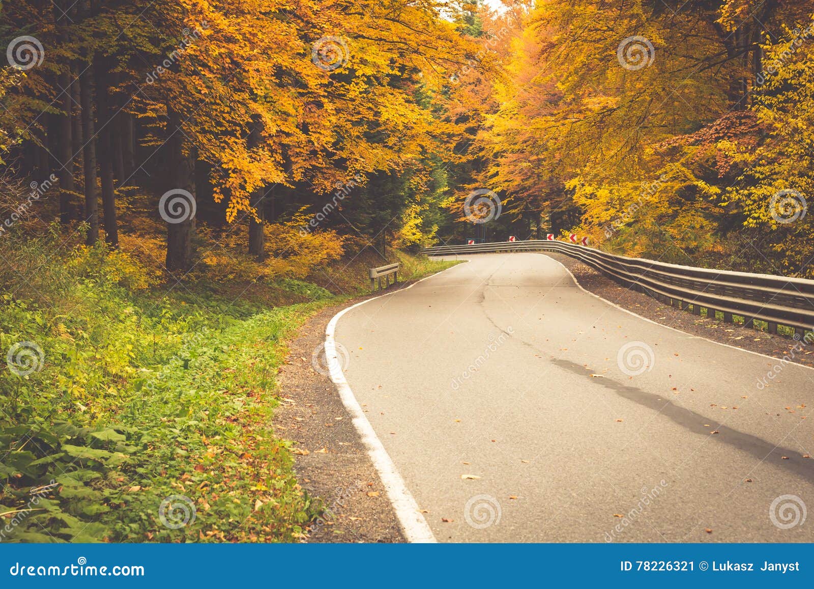 Autumn Landscape with Road and Beautiful Colored Trees Stock Image ...