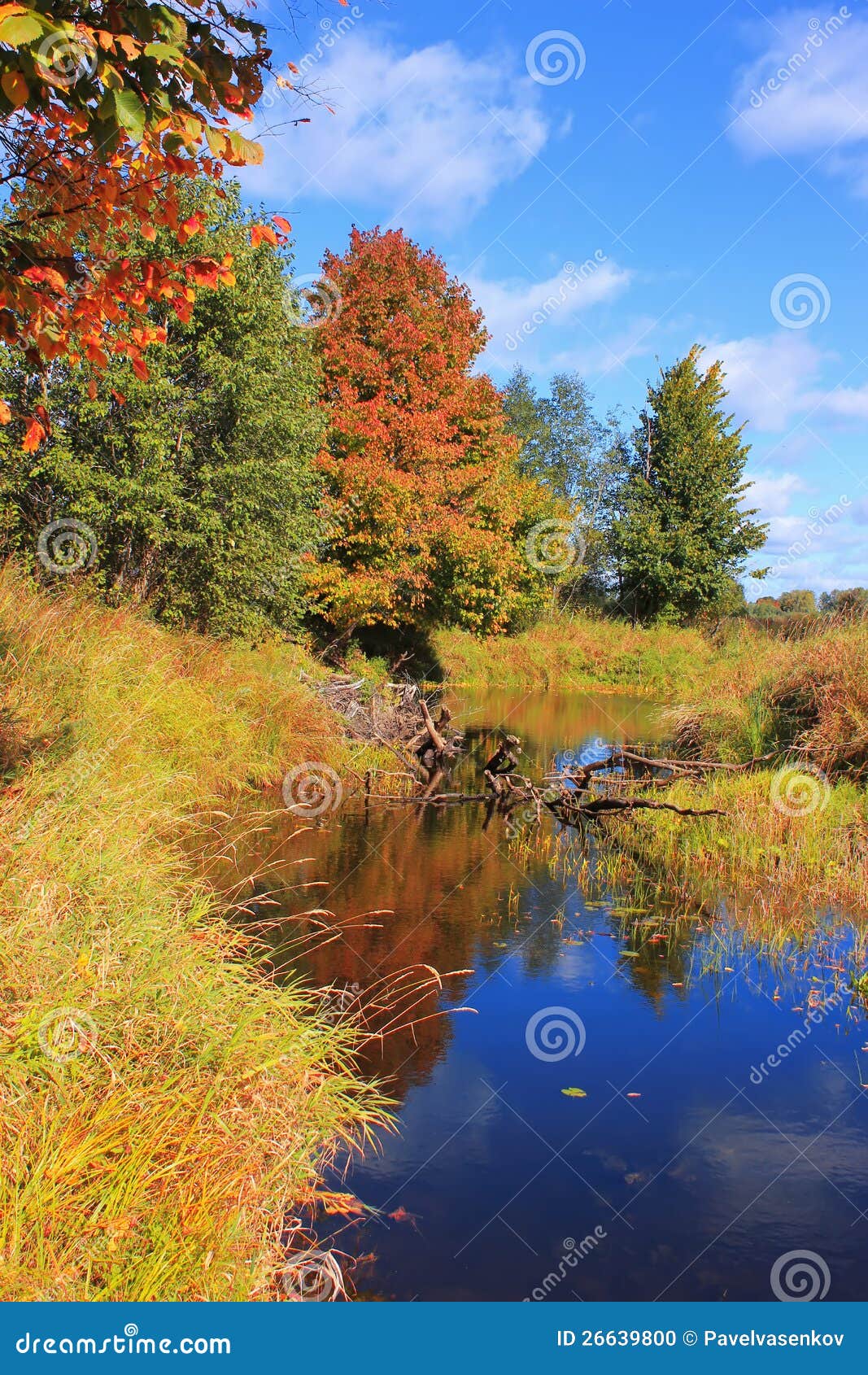 Autumn Landscape, Russia stock photo. Image of stream - 26639800