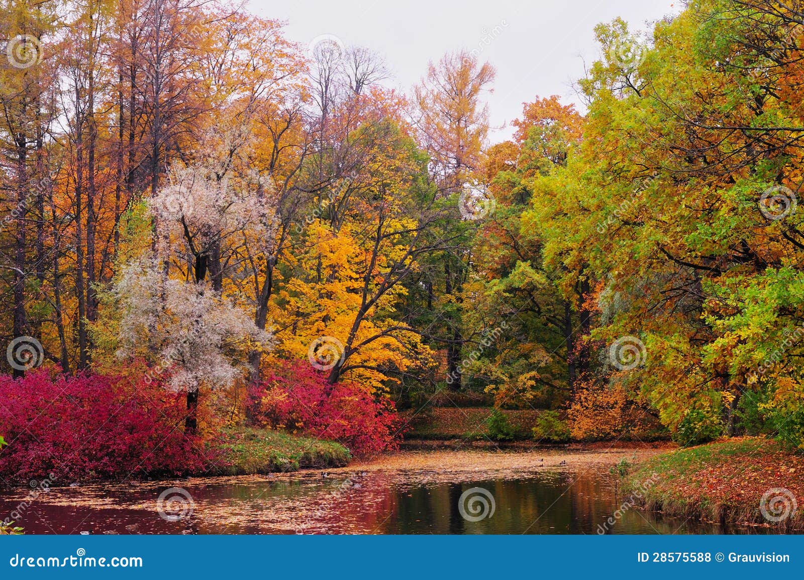 Autumn landscape. Russia stock photo. Image of outdoors - 28575588