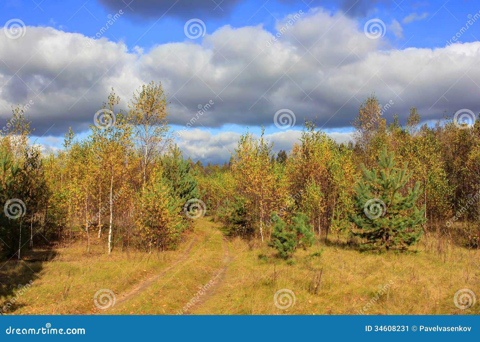 Autumn landscape, Russia stock image. Image of foliage - 34608231