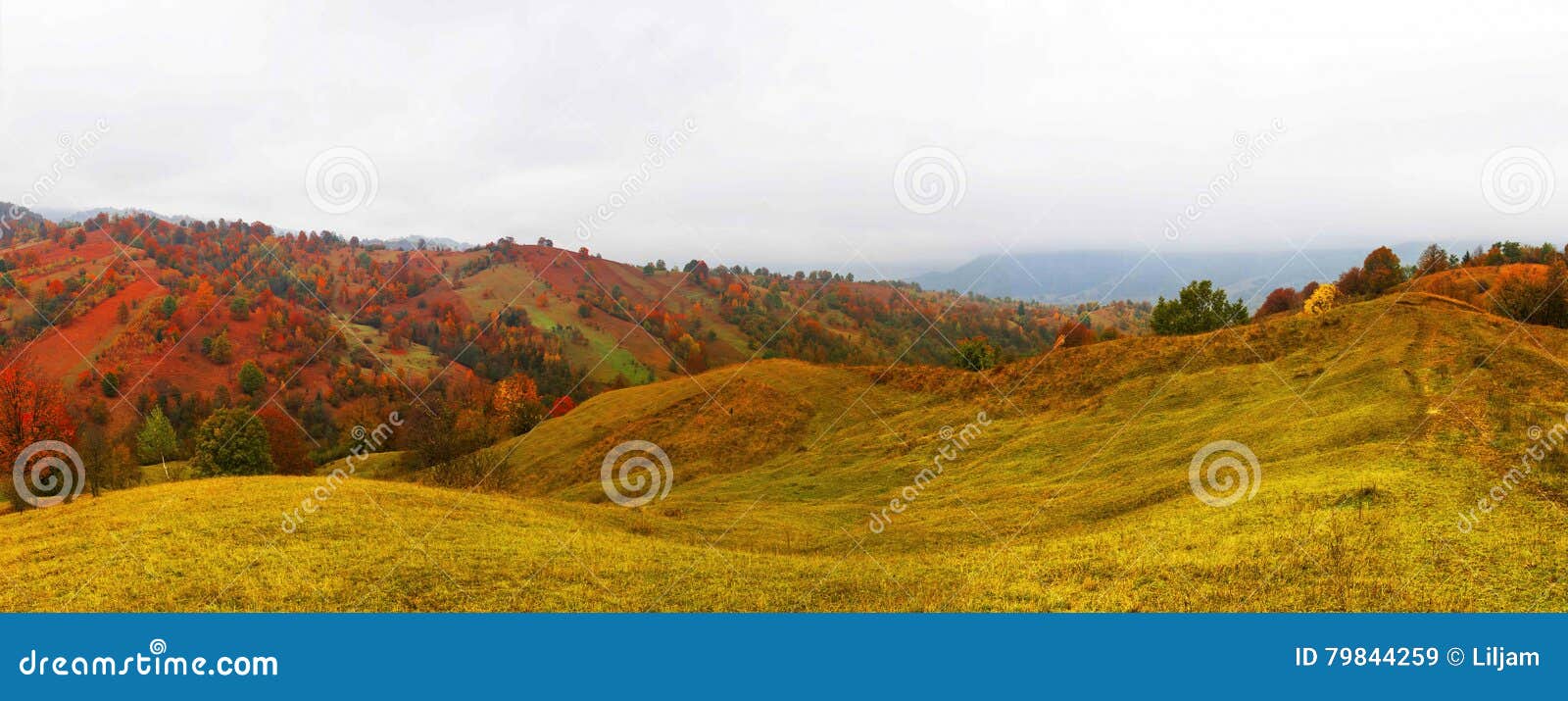 Autumn Landscape with Scenic Colorful View of Meadows and Trees Stock ...