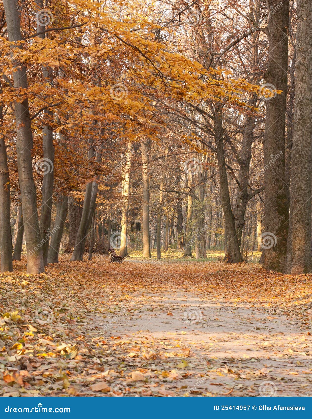 Autumn Landscape in Shades of Brown Stock Image - Image of light, leaf ...
