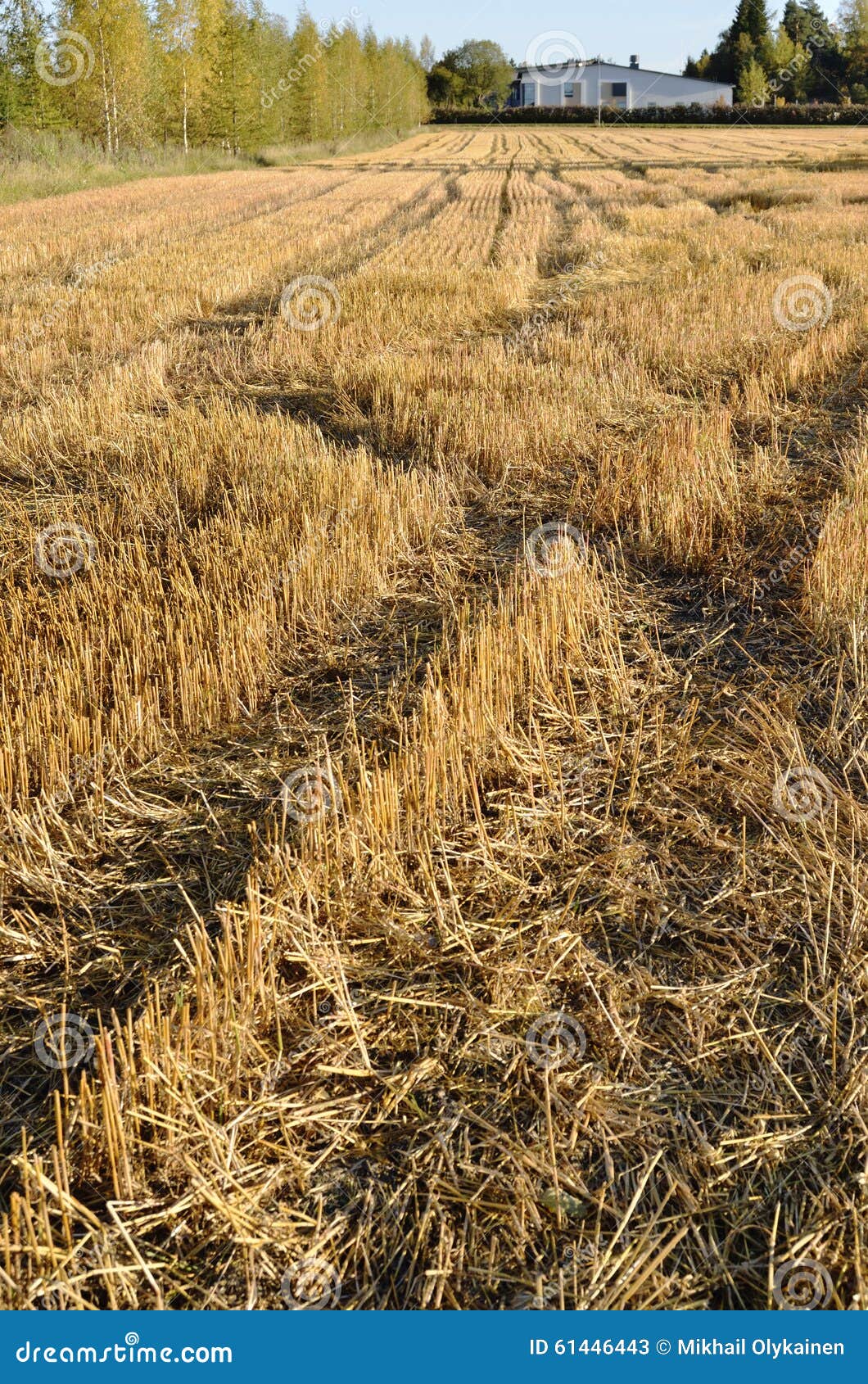 Autumn Landscape, Sloping Field Stock Image - Image of building, group ...