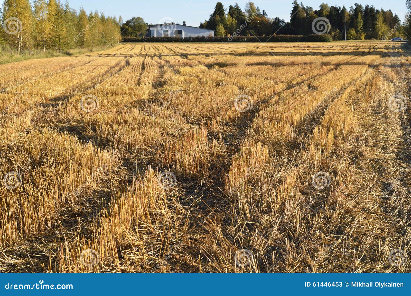 Autumn Landscape, Sloping Field Stock Image - Image of harvesting ...