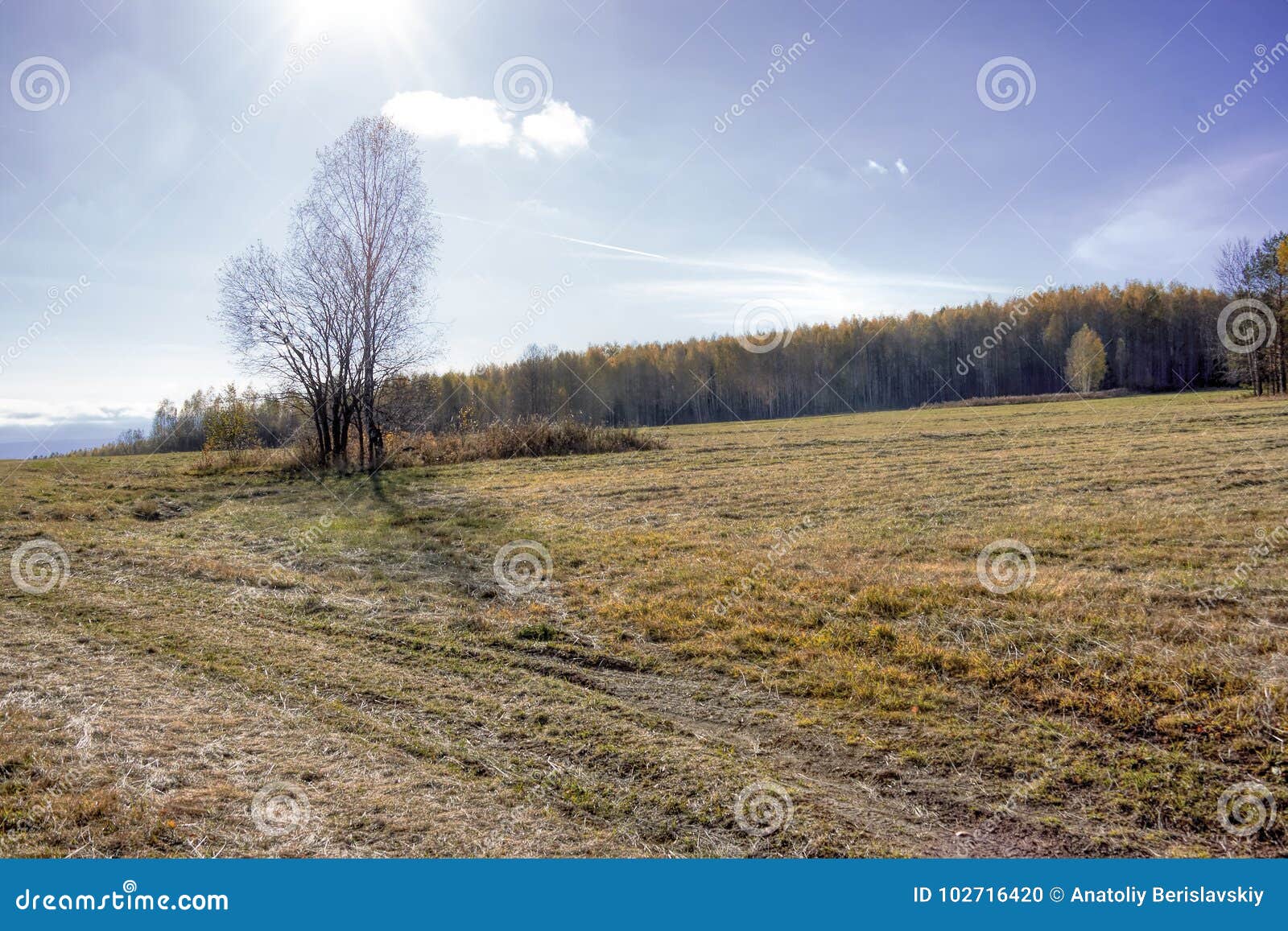 Autumn Landscape Sloping Meadow on a Background of Forest and Mountains ...