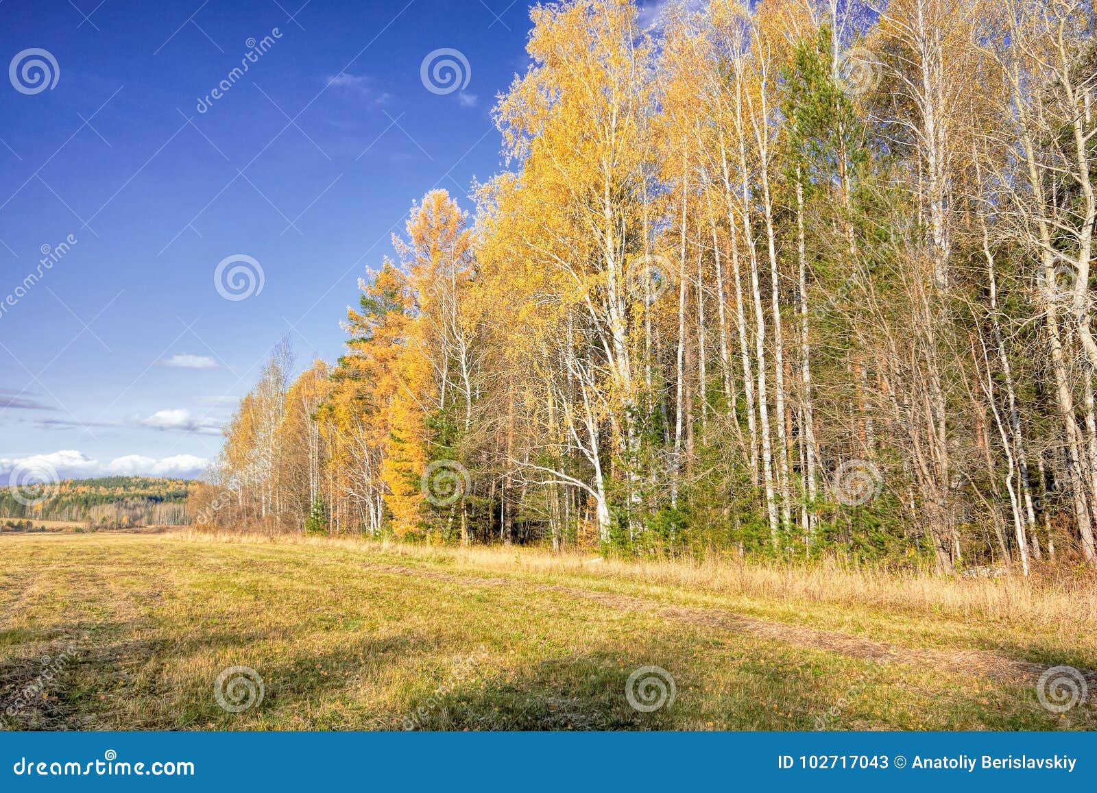 Autumn Landscape Sloping Meadow on a Background of Forest and Mountains ...
