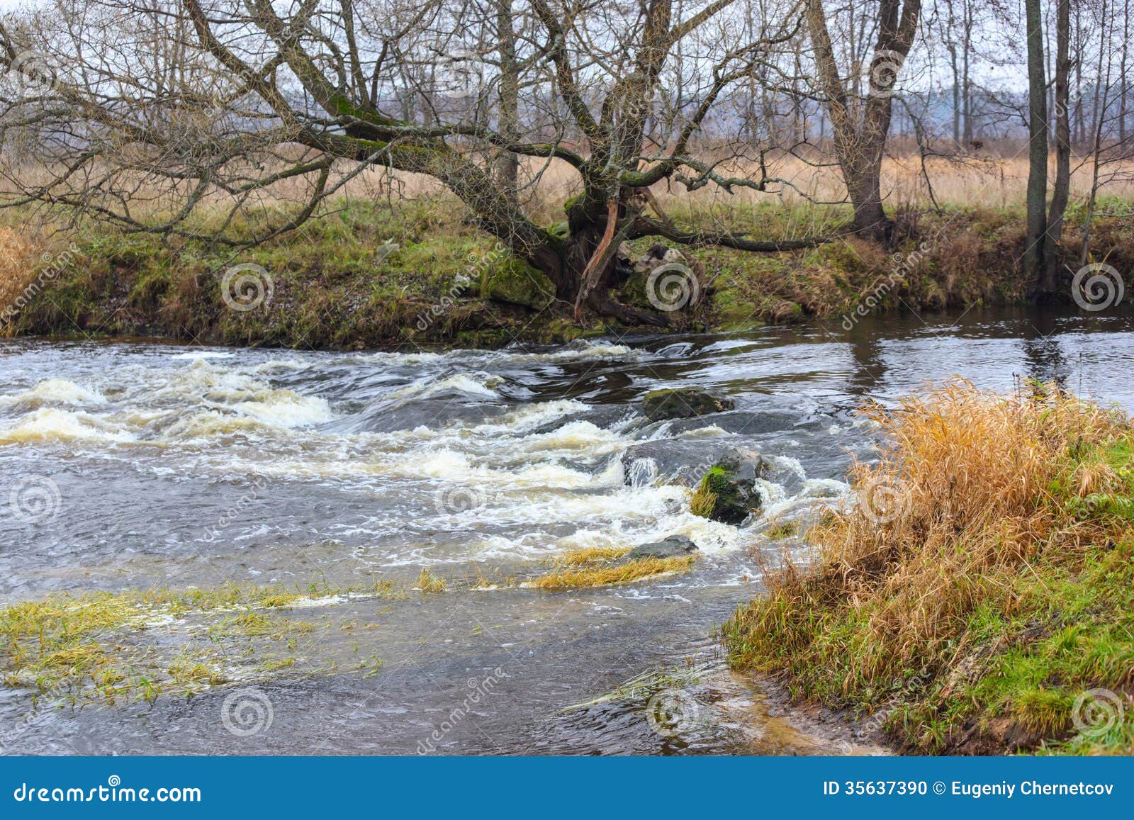 Autumn Landscape a Small River Stock Photo - Image of flowing, park ...